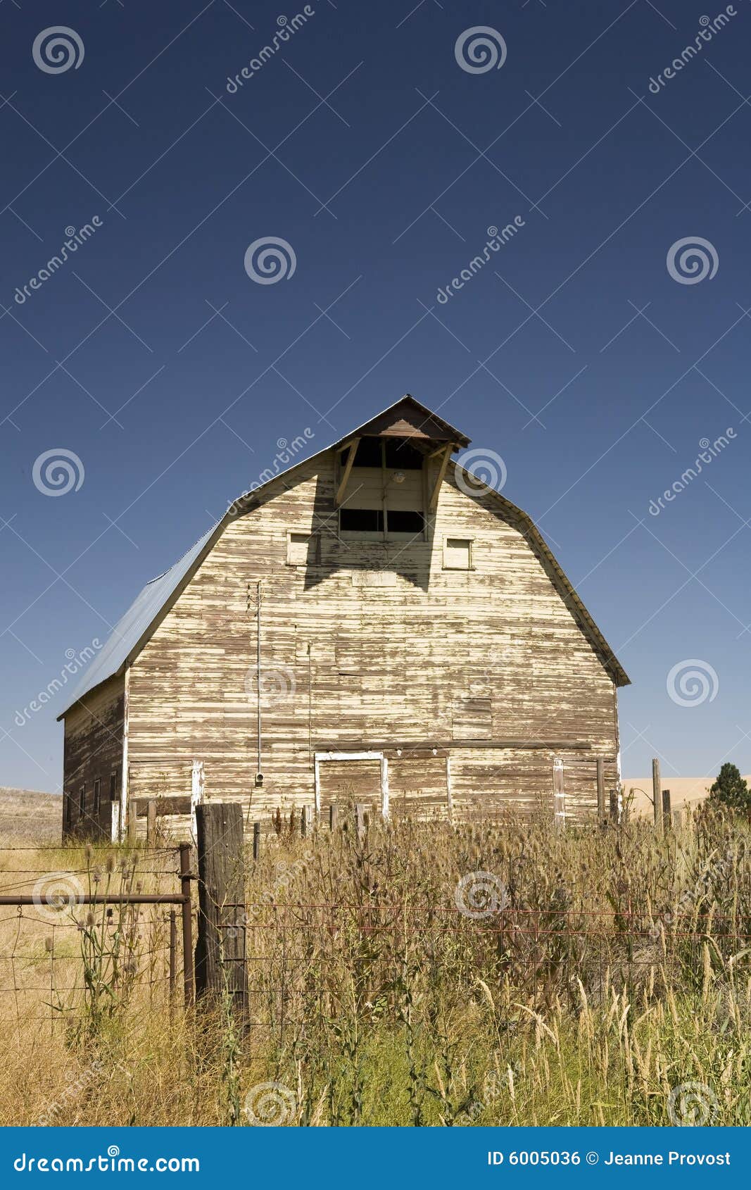 Beautiful Old Barn stock photo. Image of architectural - 6005036