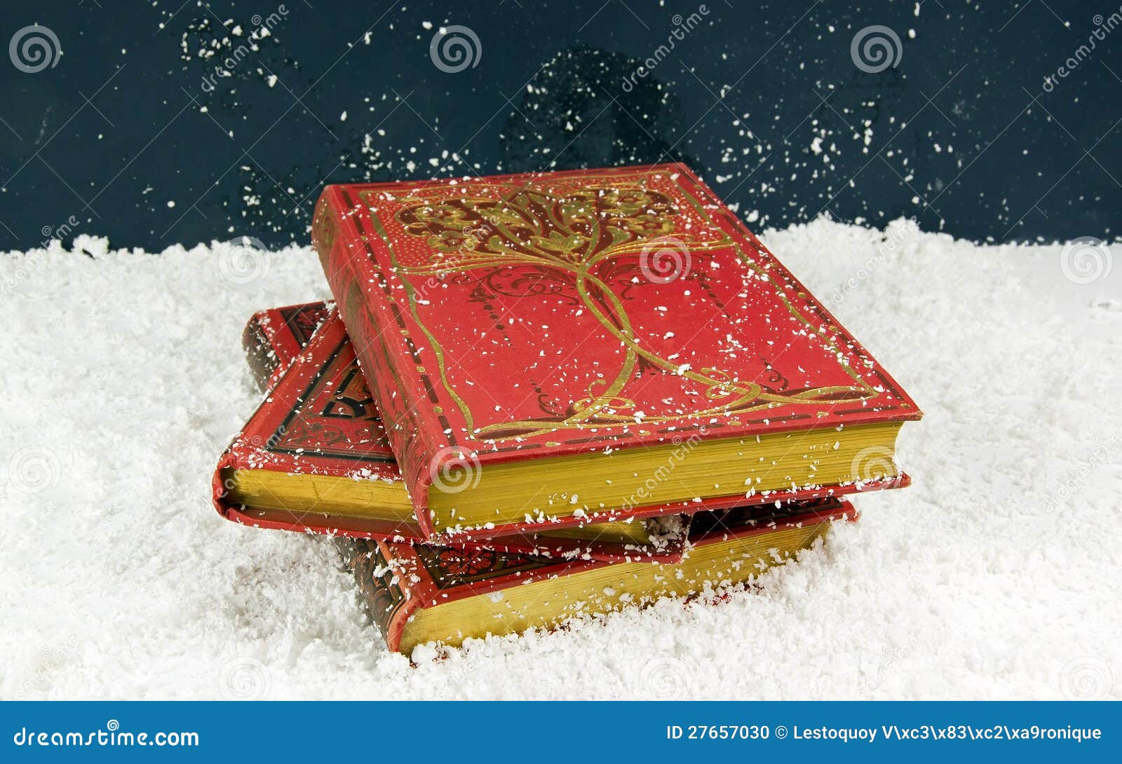 Beautiful Old Books (19 Century) in the Snow Stock Photo - Image of ...