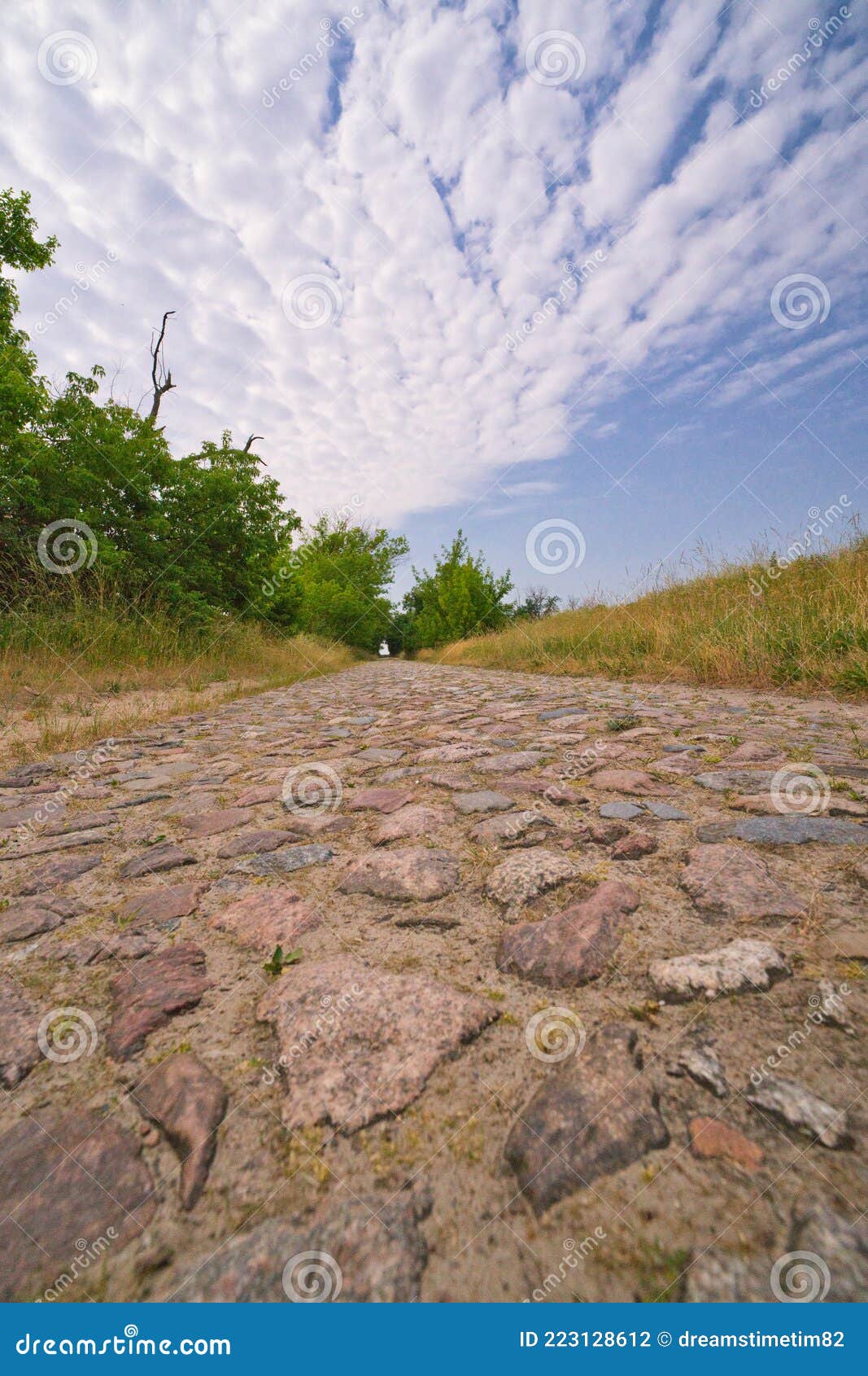 A Beautiful Old Cobble Stone Path Stock Photo - Image of oldfashioned ...