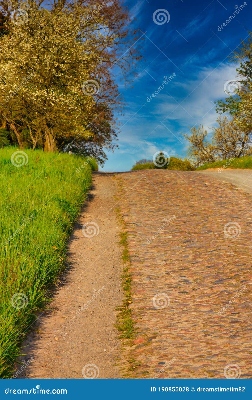 Beautiful Old Cobblestone Path in Spring Stock Photo - Image of ...