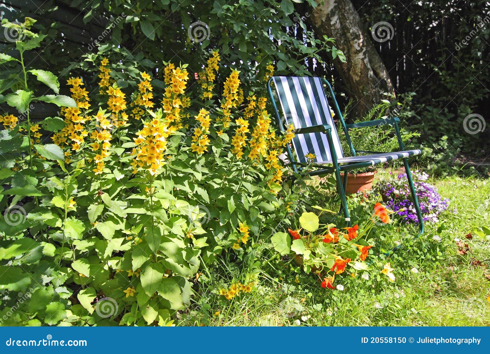 Beautiful, old garden stock photo. Image of stylish, yellow - 20558150
