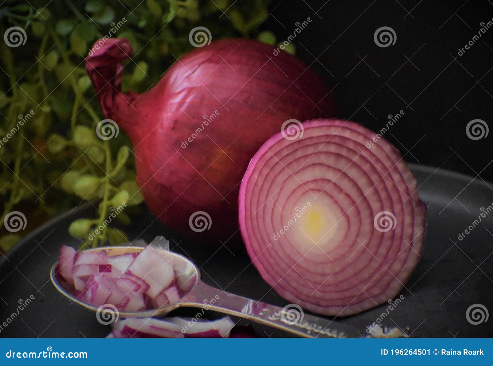 The beautiful onion stock image. Image of organ, food - 196264501