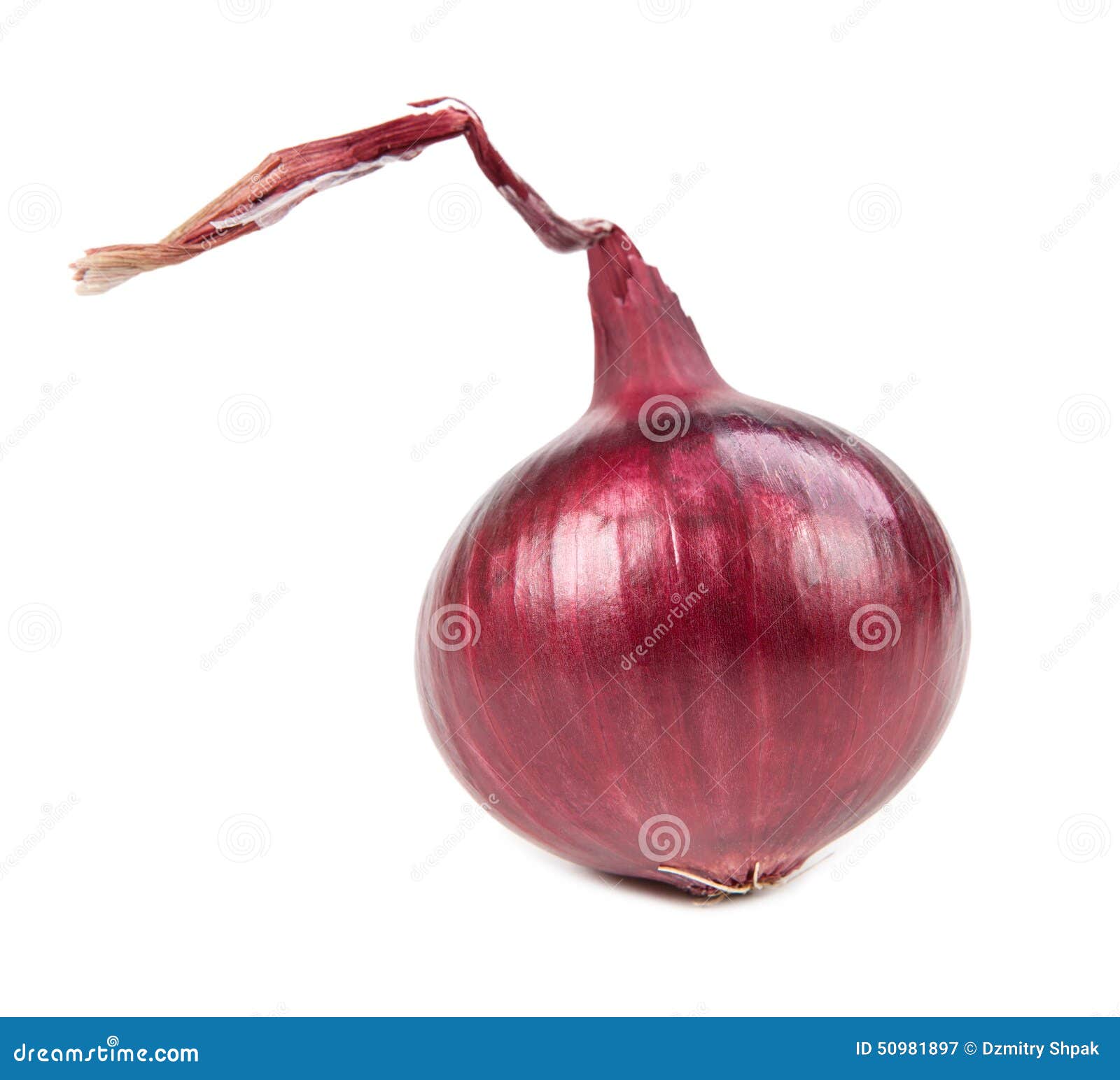 Beautiful Onion Isolated on White Background Stock Image - Image of ...