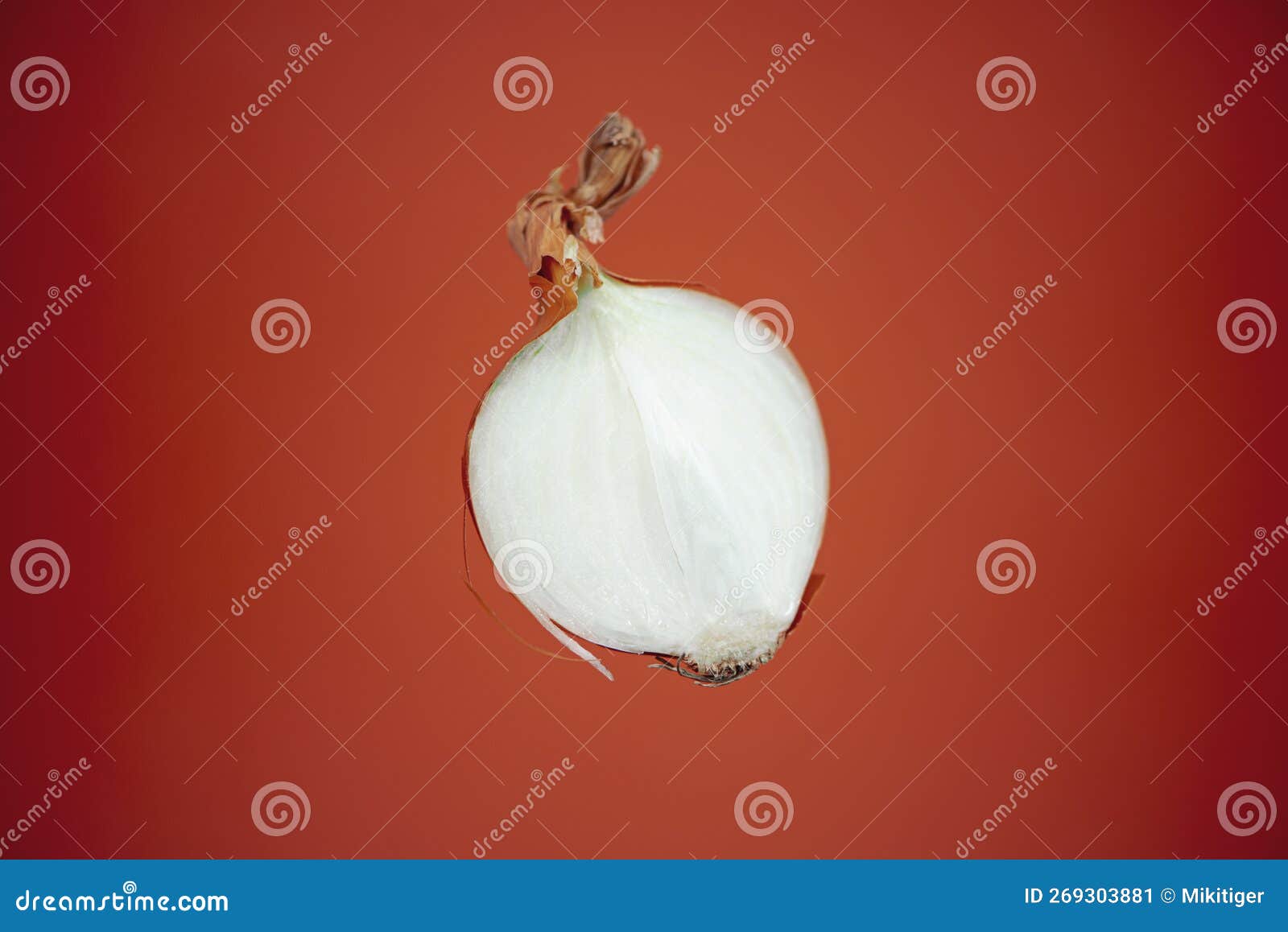 Beautiful Onion Texture Close-up Stock Image - Image of organ, painting ...
