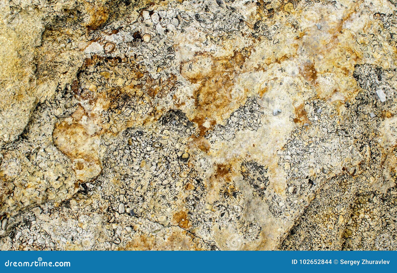Oolite Texture Stock Photos - Free & Royalty-Free Stock Photos from ...