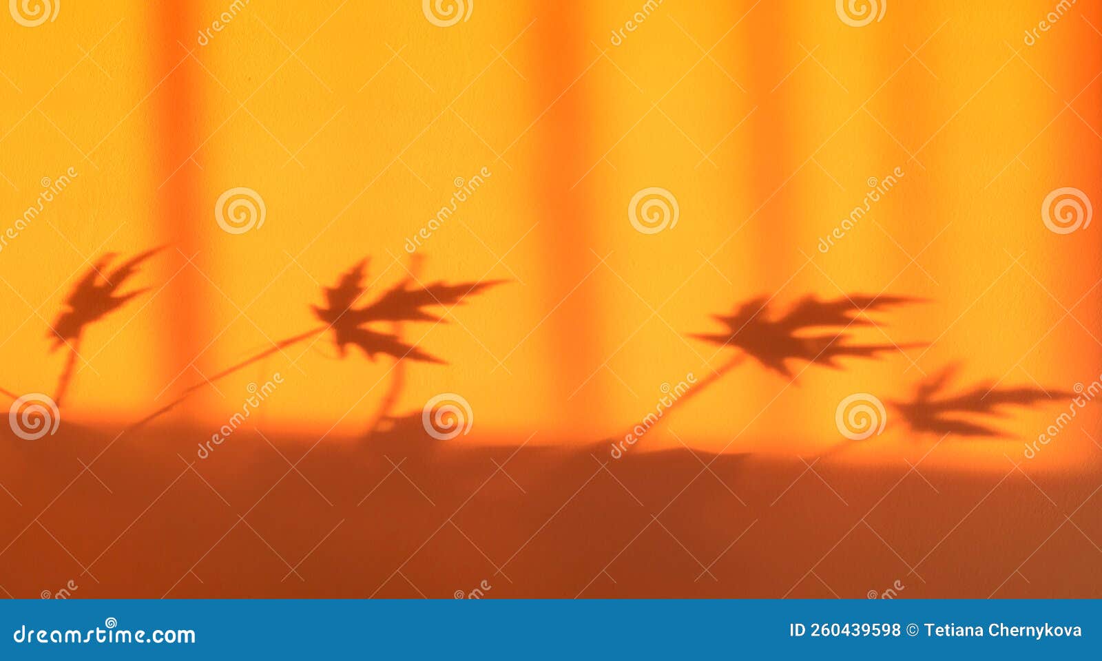 Beautiful Orange Defocus Background with Tree Branches Shadow Stock ...