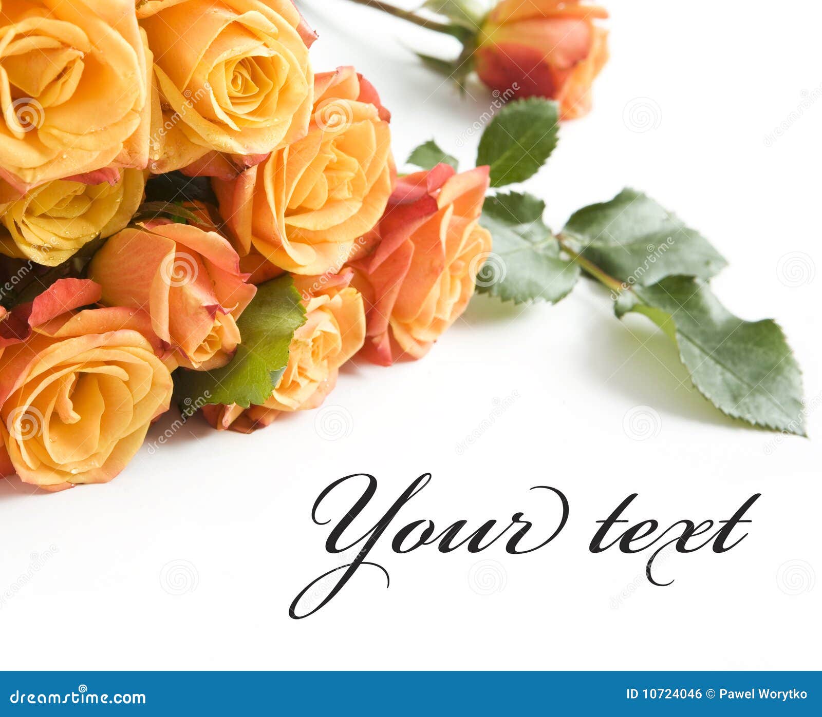 Beautiful orange roses stock photo. Image of focus, postcard - 10724046