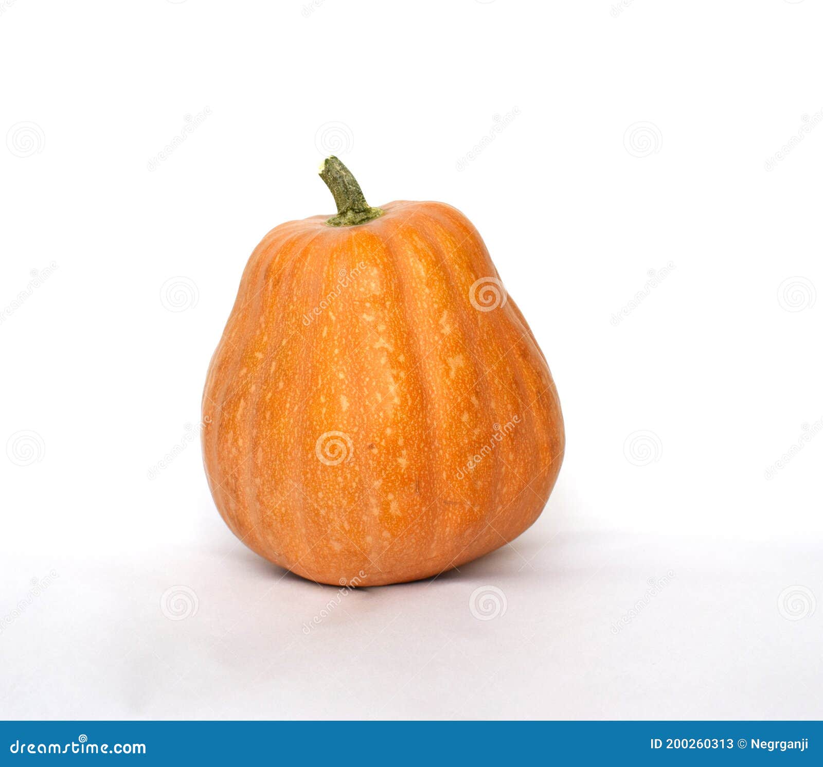 A Beautiful Orange Spotted Pumpkin on a White Background Stock Image ...