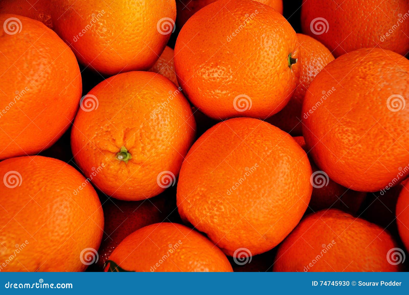 Beautiful Orange stock photo. Image of sweet, fruit, orange - 74745930