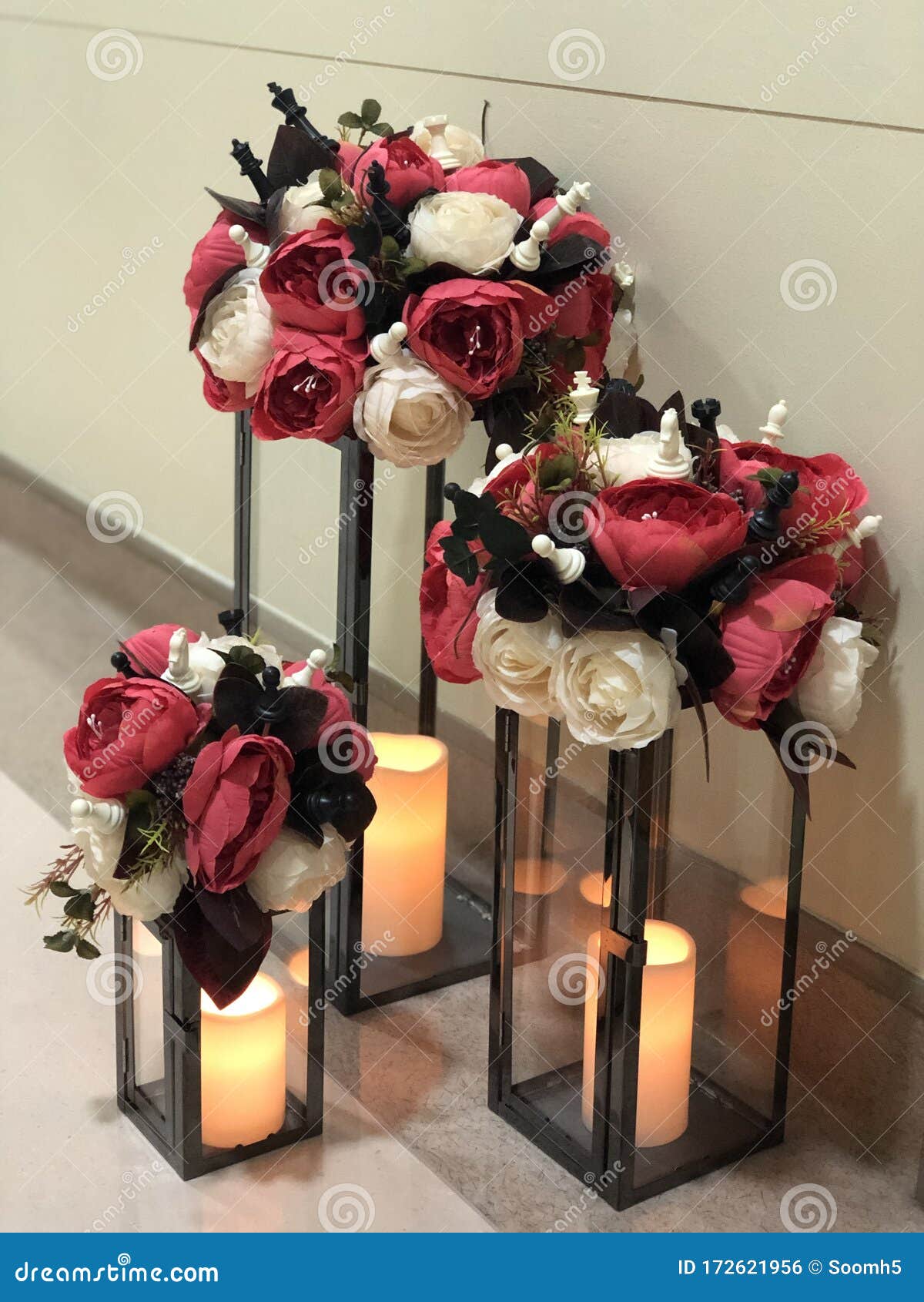 Beautiful Orange and White Roses Stock Photo - Image of design, orange ...