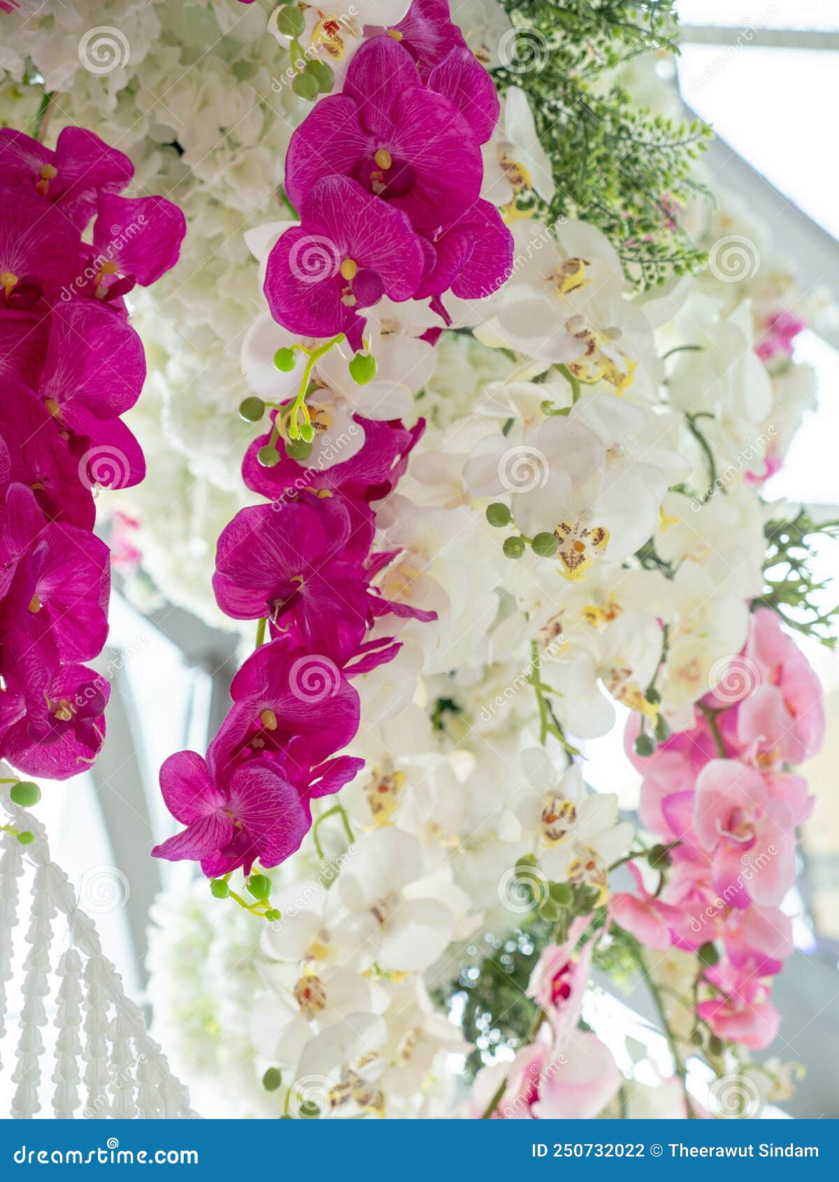 Beautiful Orchid Flower, Bouquet of Orchid Flower Stock Photo - Image ...