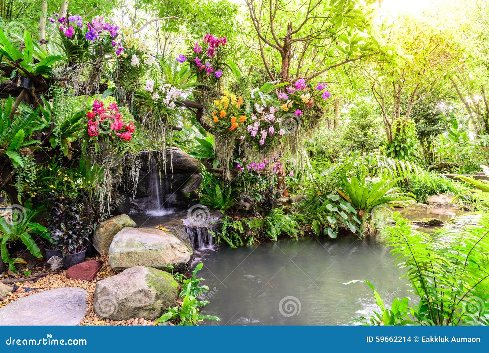 Beautiful Orchid Garden with Waterfall Stock Photo - Image of spring ...