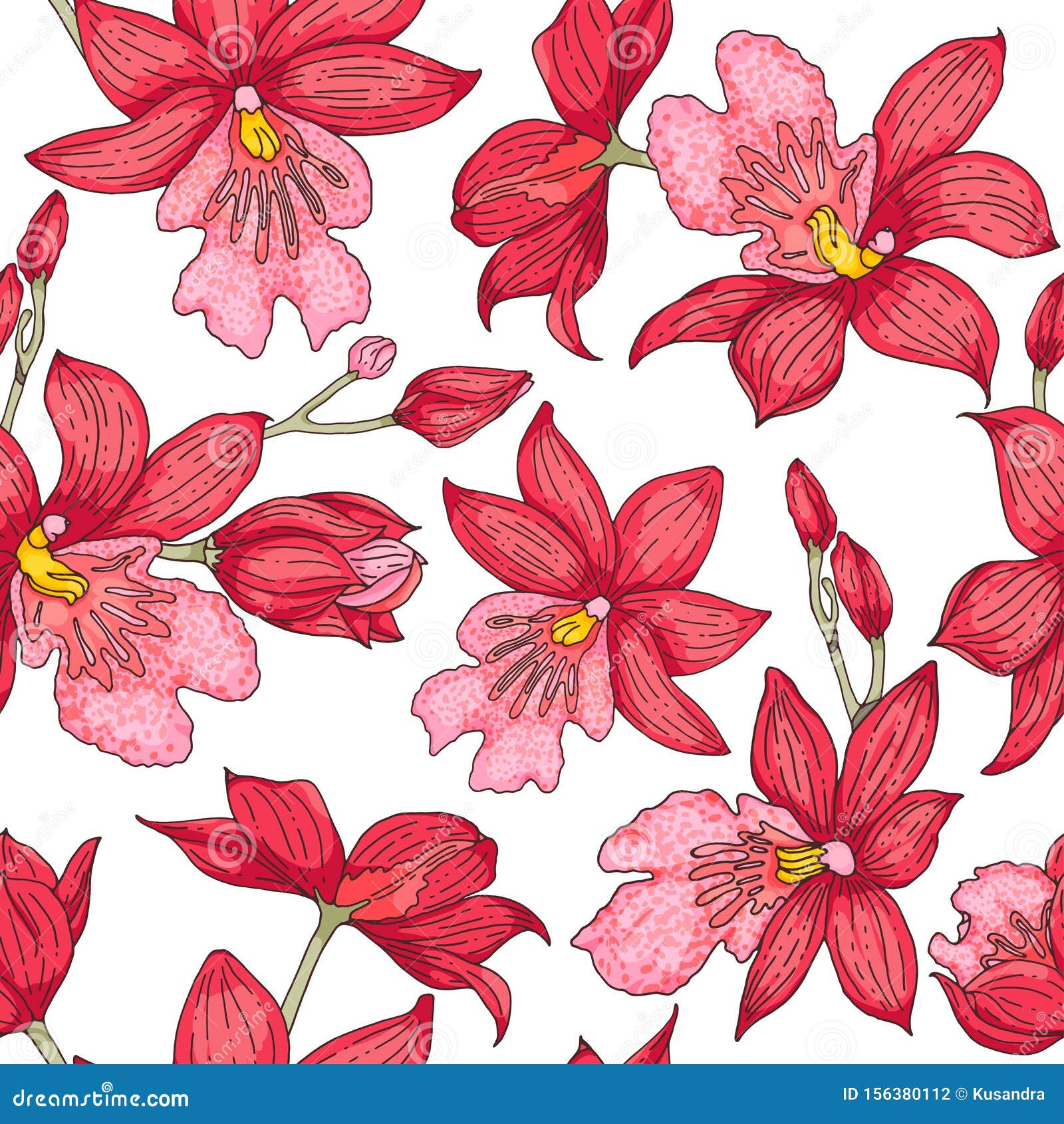 Beautiful Orchid Seamless Pattern on White Background Stock Vector ...