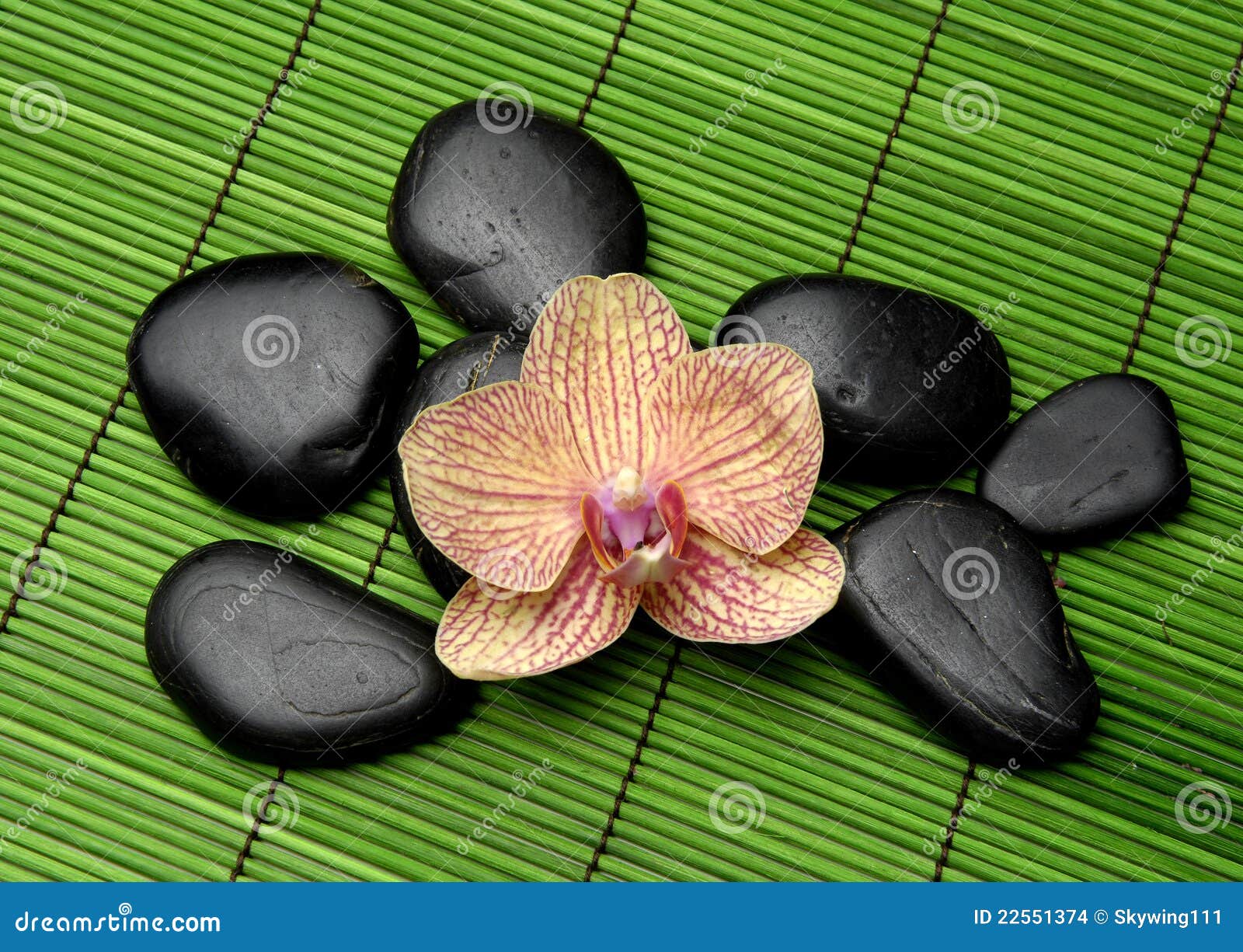Beautiful orchid and stone stock photo. Image of romance - 22551374
