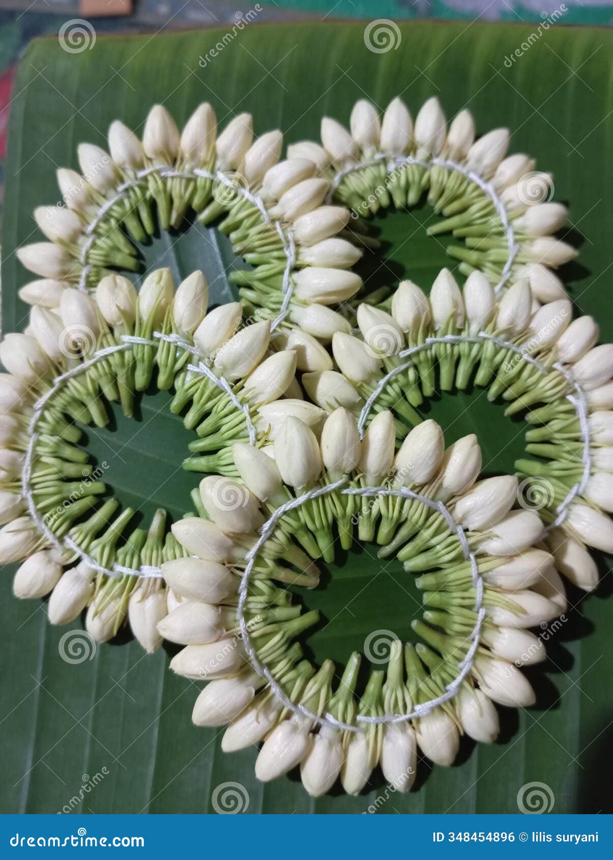 Beautiful Original Jasmine Flowes Stock Photo - Image of bouquet ...