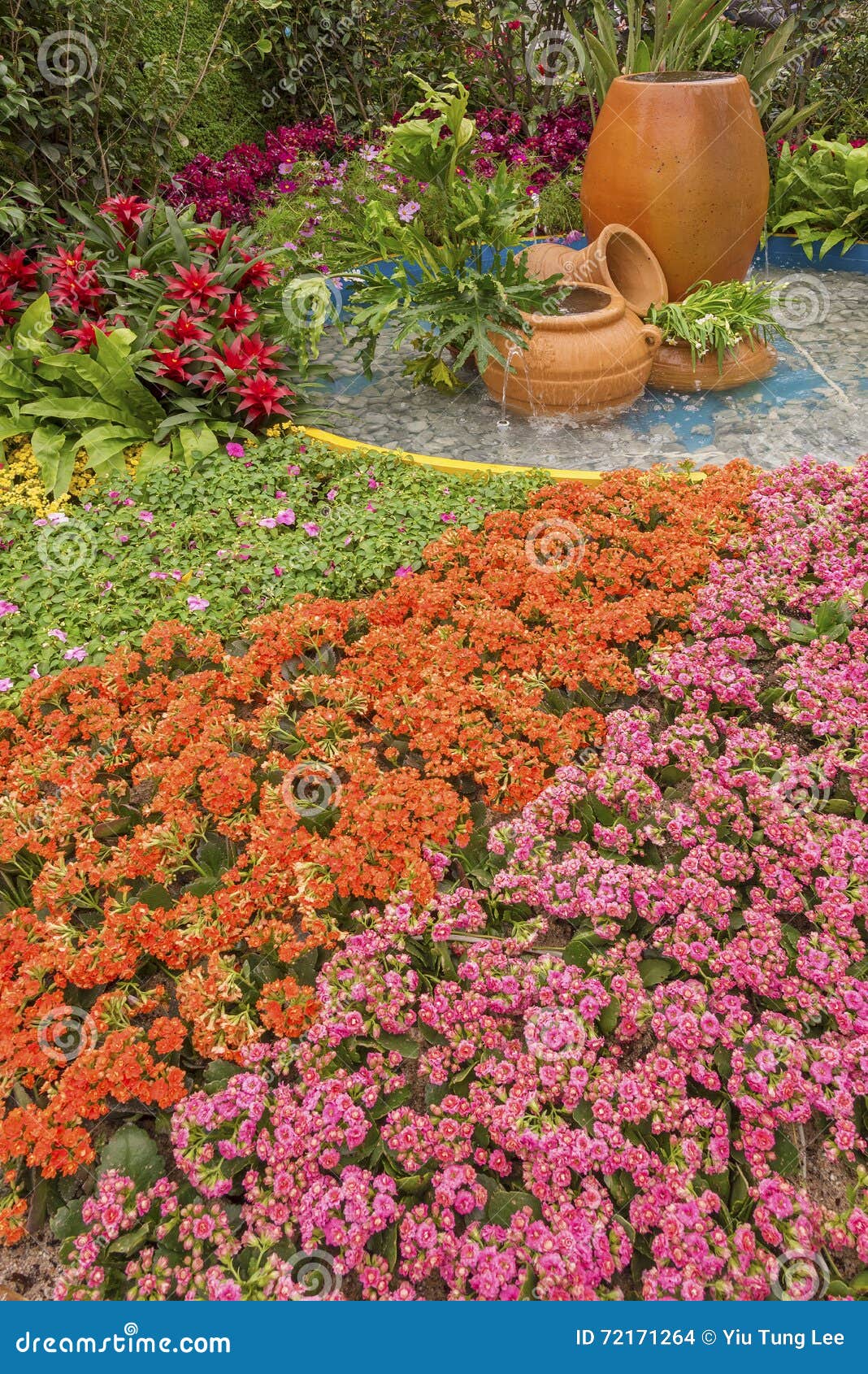 Beautiful Ornamental Garden Stock Photo - Image of green, nature: 72171264