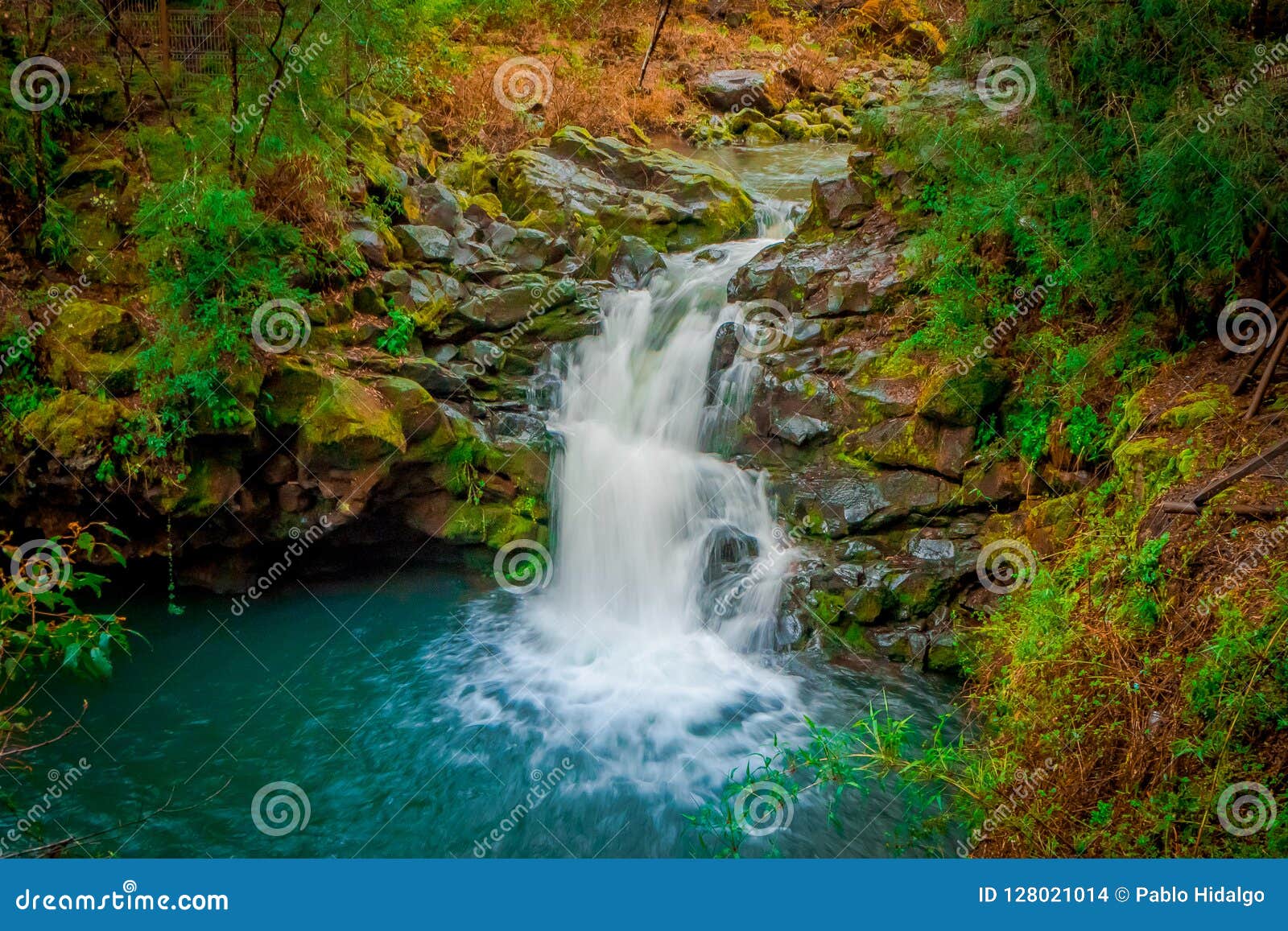 Beautiful Outdoor View of Waterfall at Pucon, Chile Stock Photo - Image ...
