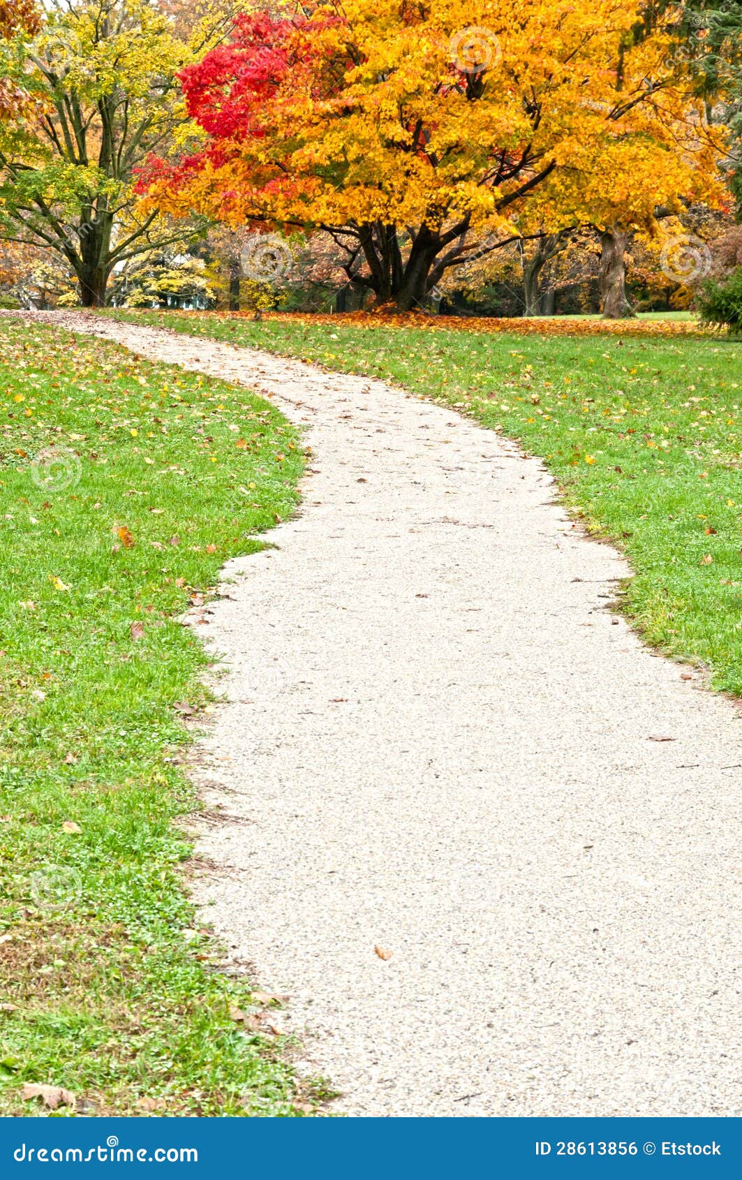 Beautiful Outdoors - Footpath in Autumn Park Stock Photo - Image of ...
