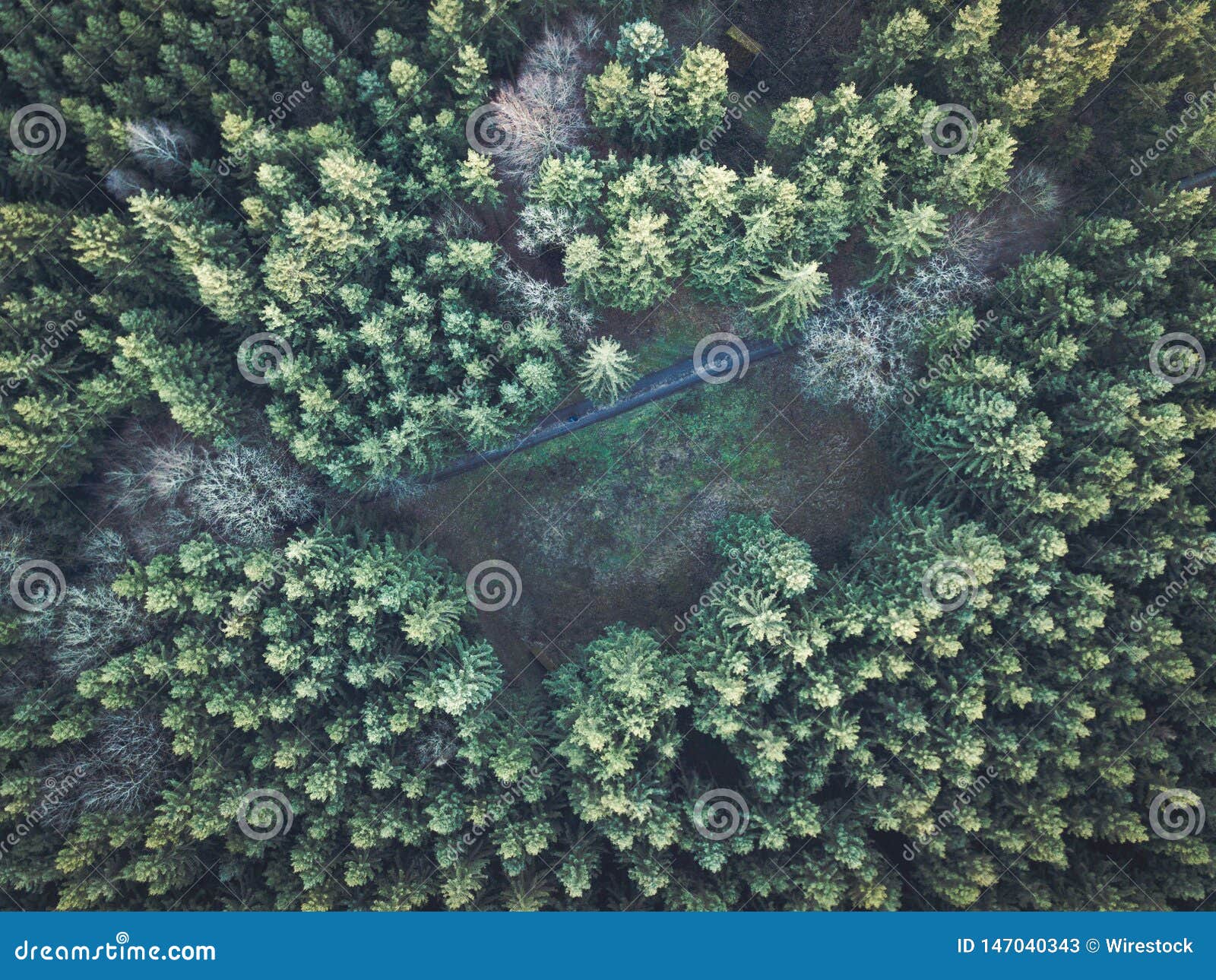 Beautiful Overhead Aerial Shot of a Thick Forest Stock Image - Image of ...