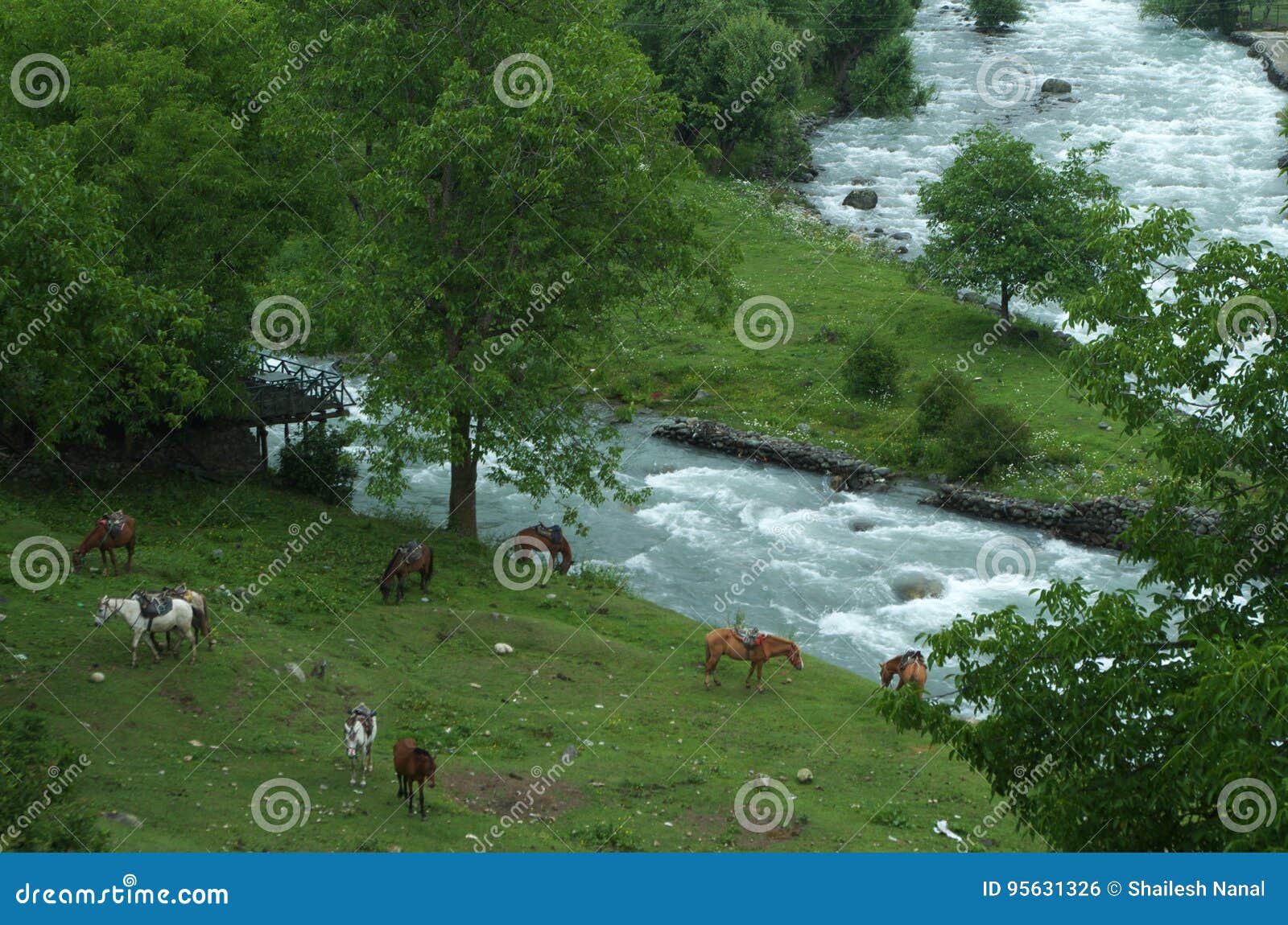 Beautiful Pahalgam Scene-3 stock photo. Image of river - 95631326