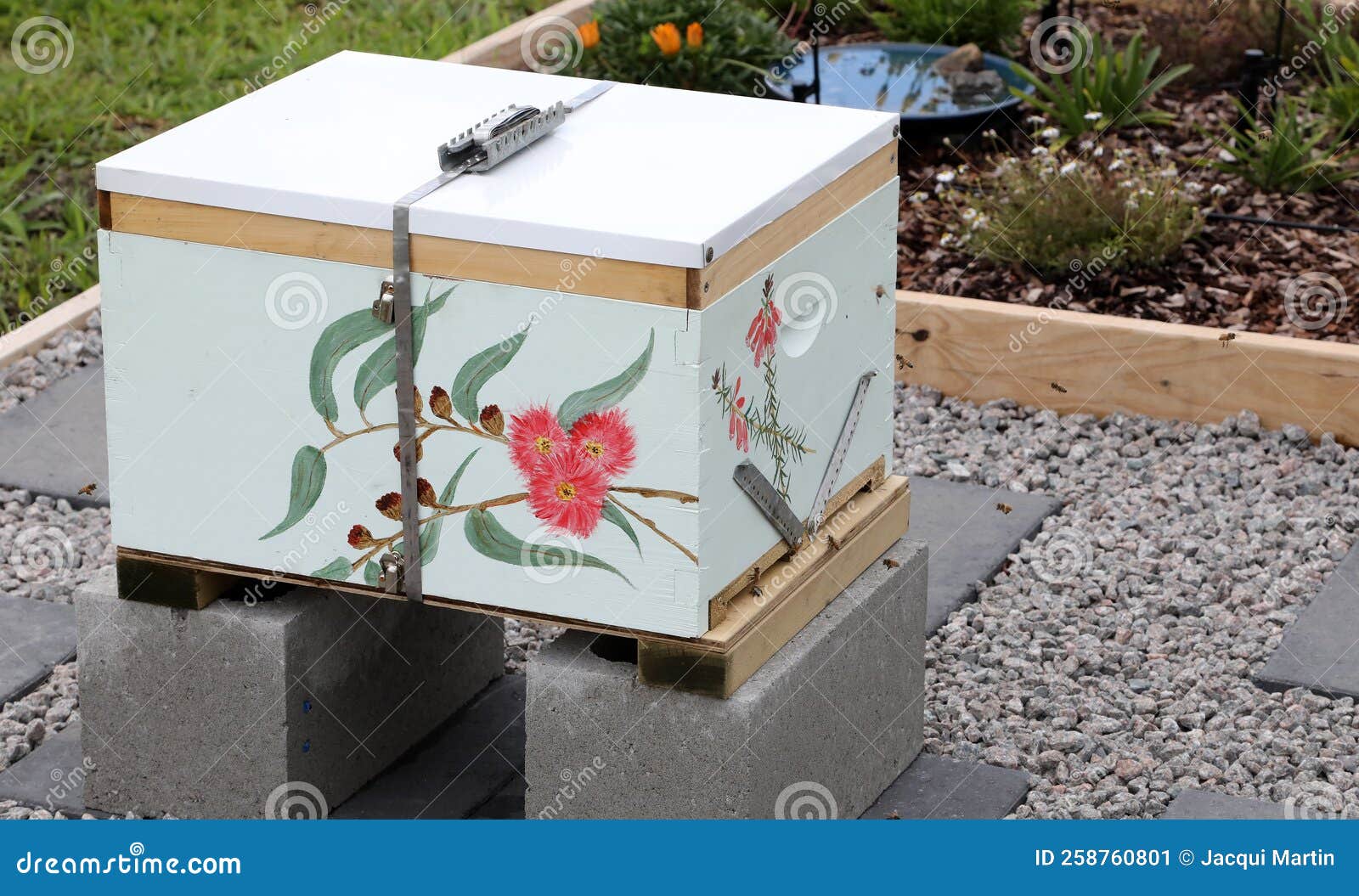 Beautiful Painted Bee Hives Stock Image - Image of insect, australia ...