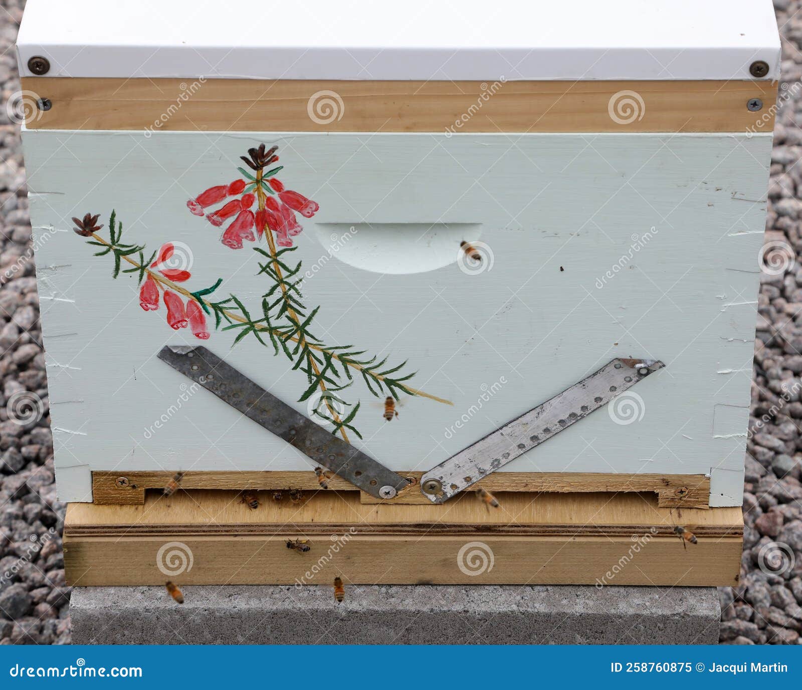 Beautiful Painted Bee Hives Stock Image - Image of agriculture, house ...