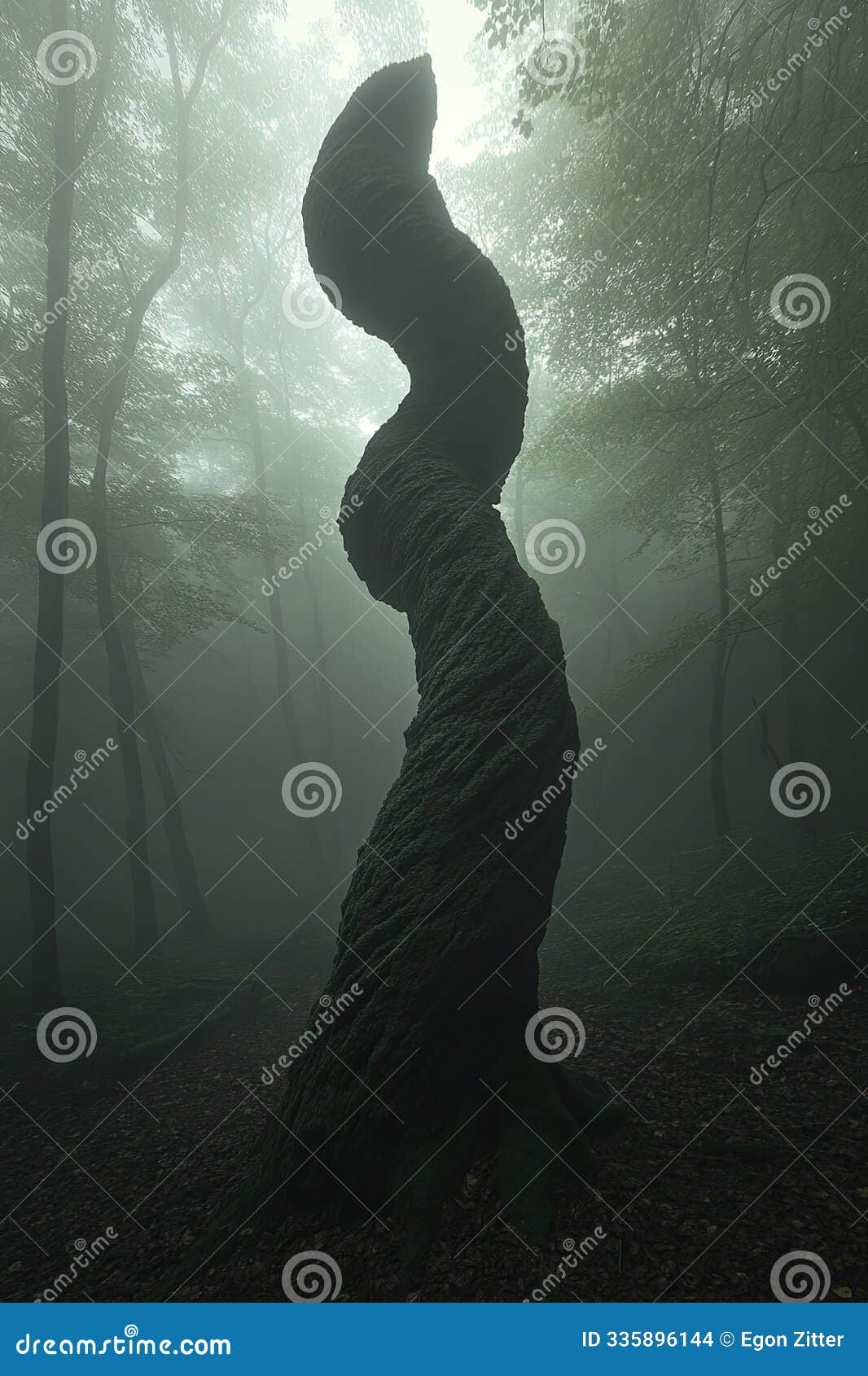 Into the Magical Forest with Beautiful Light Stock Illustration ...