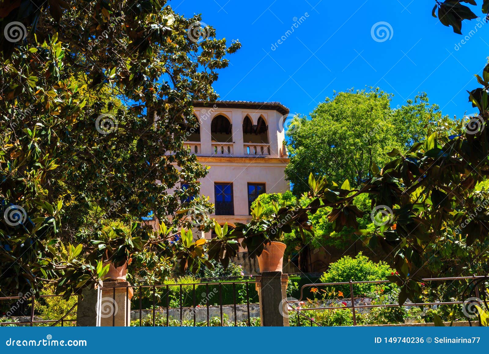 A Huge Ficus Grows On The Old Stone Wall. The Tree Destroys The Ancient ...