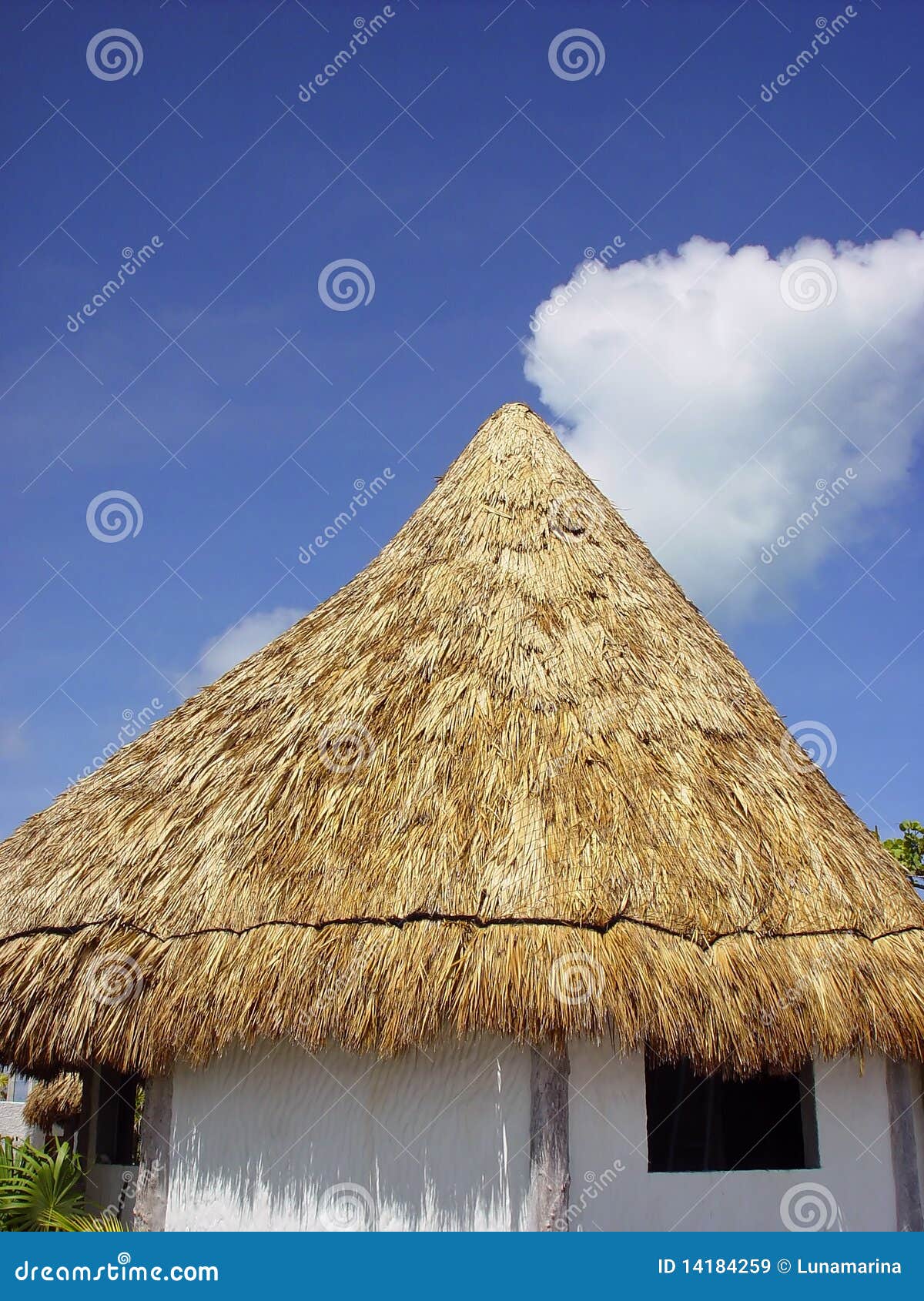 Beautiful Palala in the Mexican Caribbean Stock Image - Image of ...