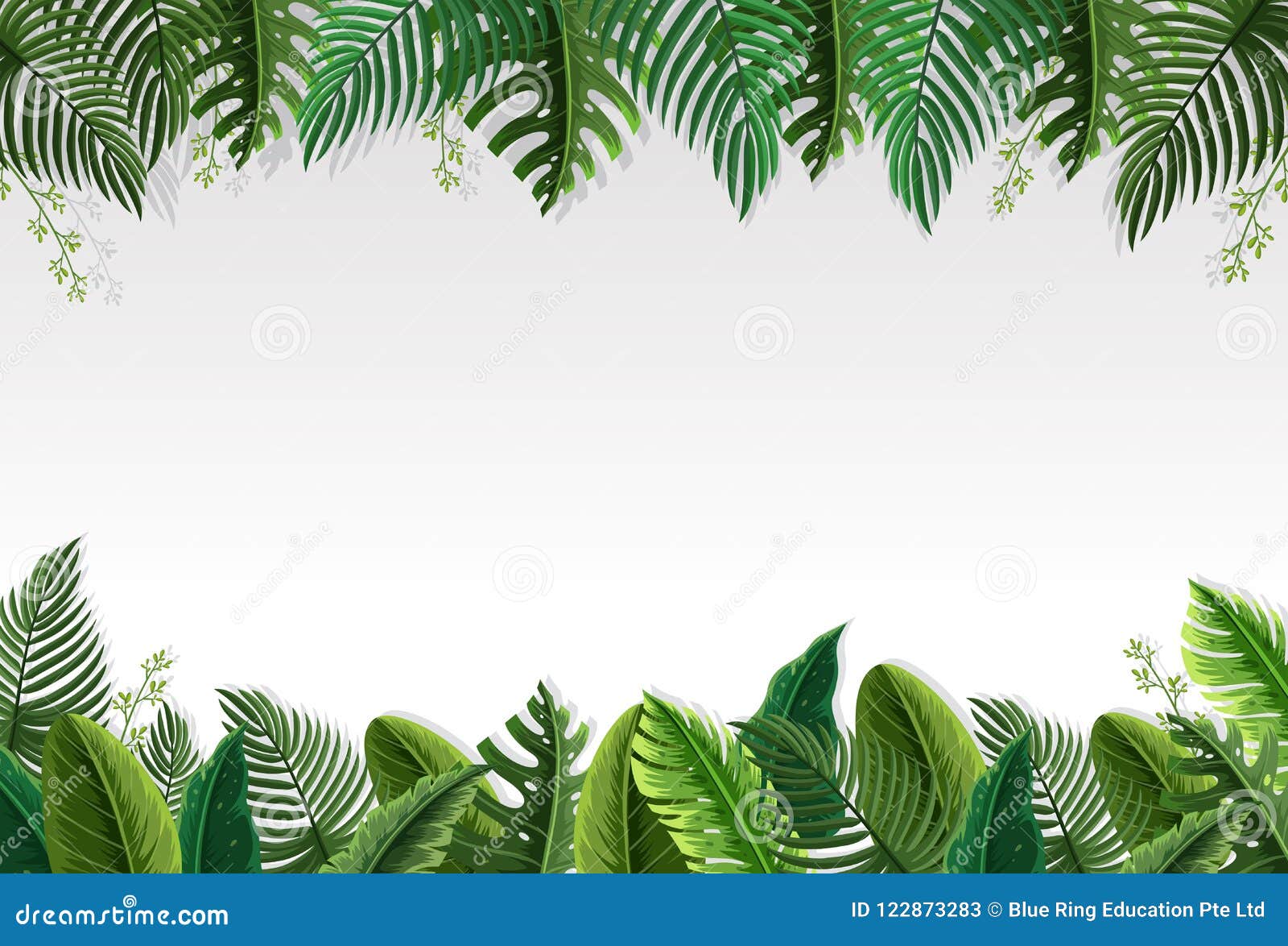 Beautiful palm leaf border stock vector. Illustration of template ...