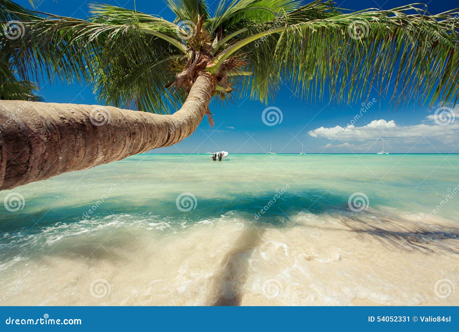 Beautiful Palm Tree and a Boat Over Caribbean Sea Stock Image - Image ...