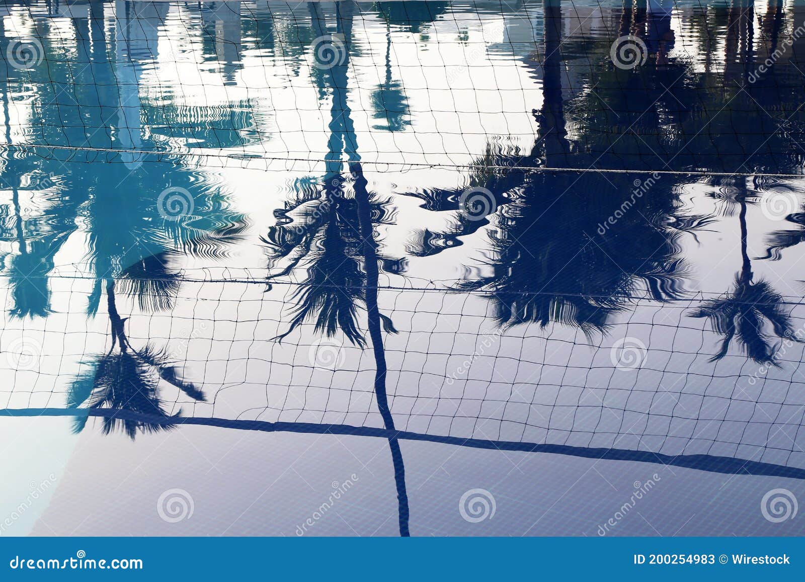 Beautiful Pam Trees Reflecting in the Pool Stock Image - Image of ...