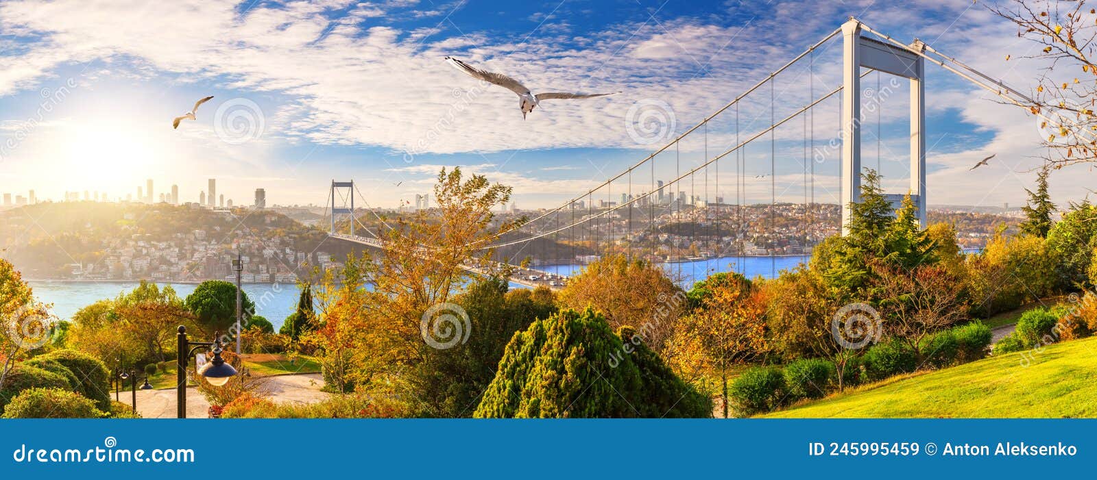Beautiful Panorama of Istanbul and the Second Bosphorus Bridge, Turkey ...