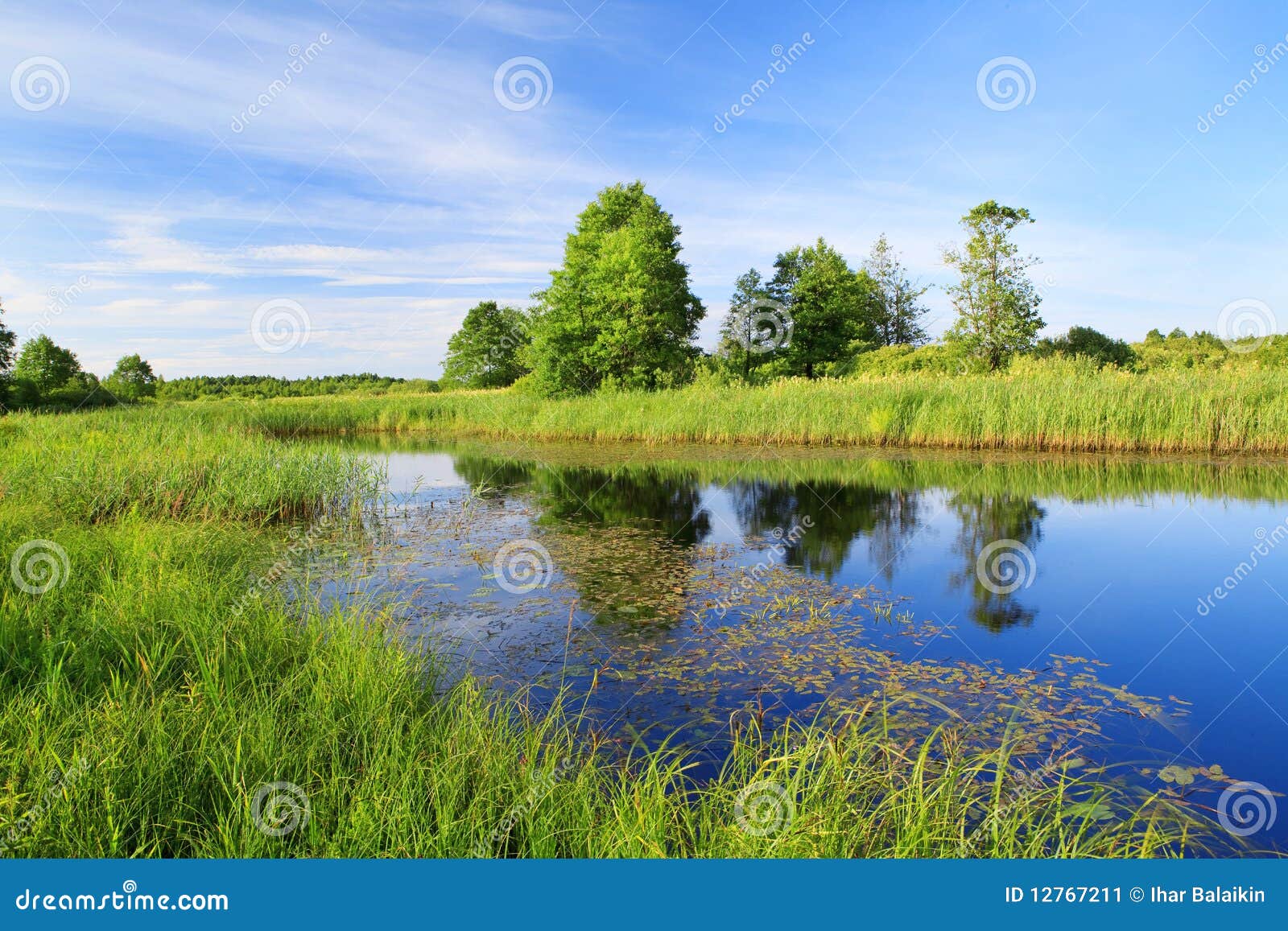 Beautiful Panorama of the River Stock Image - Image of fresh ...