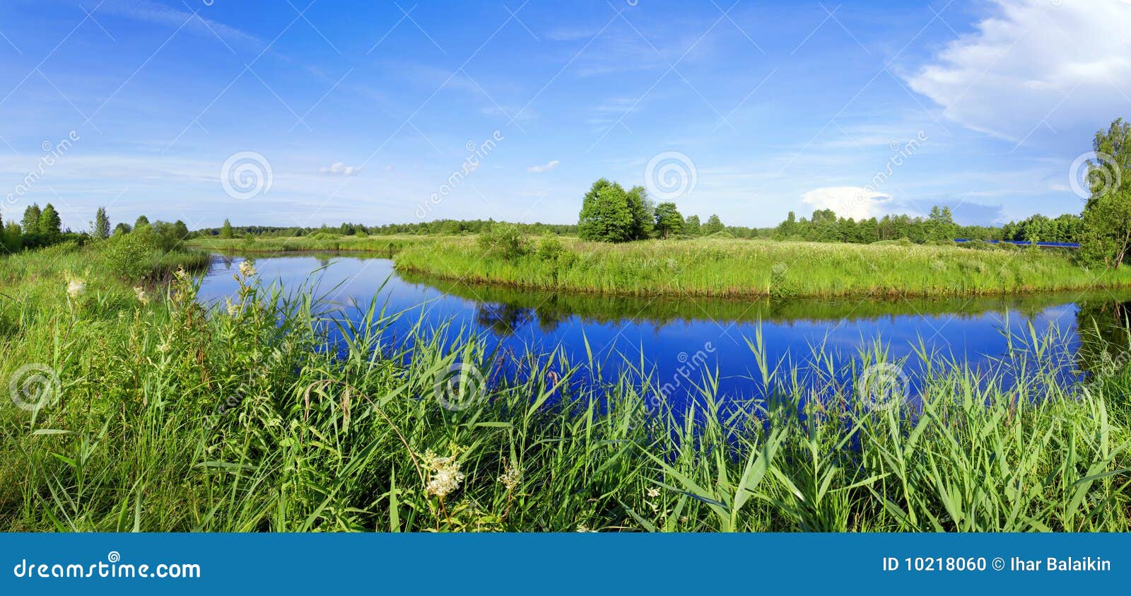 Beautiful Panorama of the River of Berezina Stock Photo - Image of ...