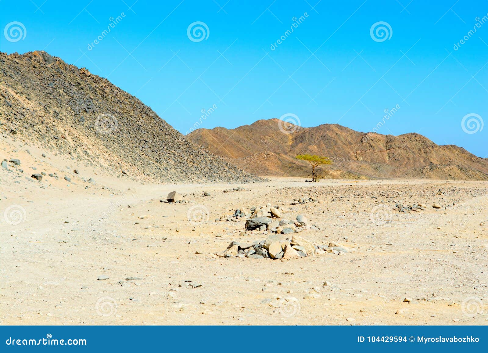 Landscape of the Arabian Desert Stock Photo - Image of tourism, summer ...