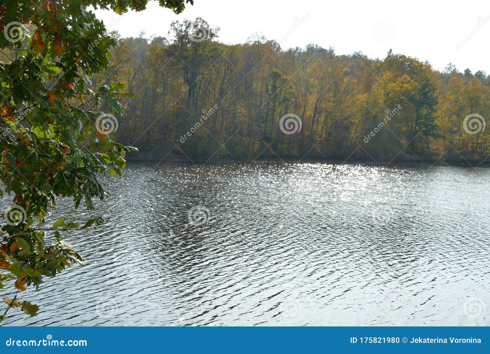 Beautiful Panoramic View of the Blue River Lake Stock Photo - Image of ...