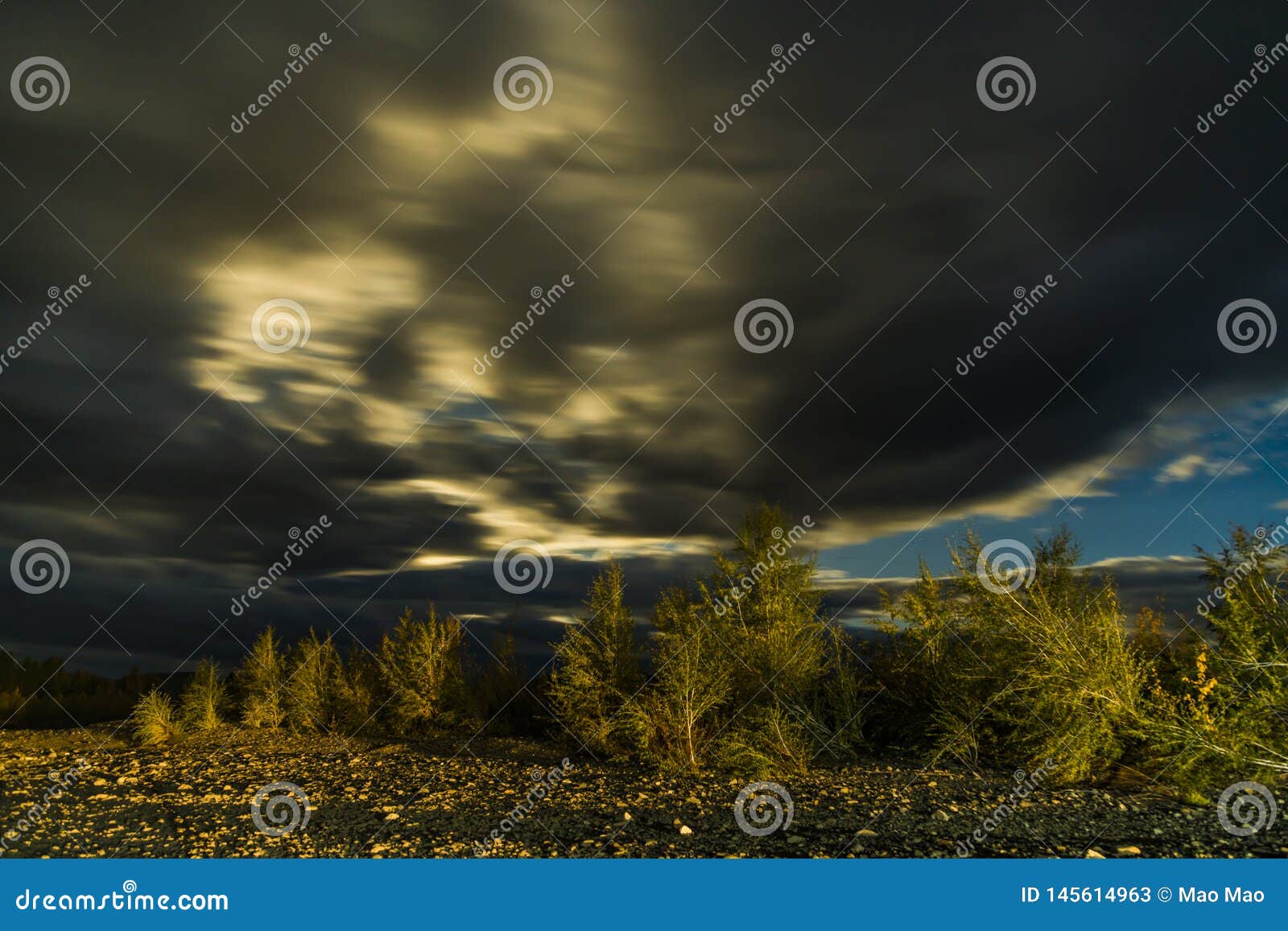 Beautiful Panoramic View on Lake and Forest at Night Stock Image ...