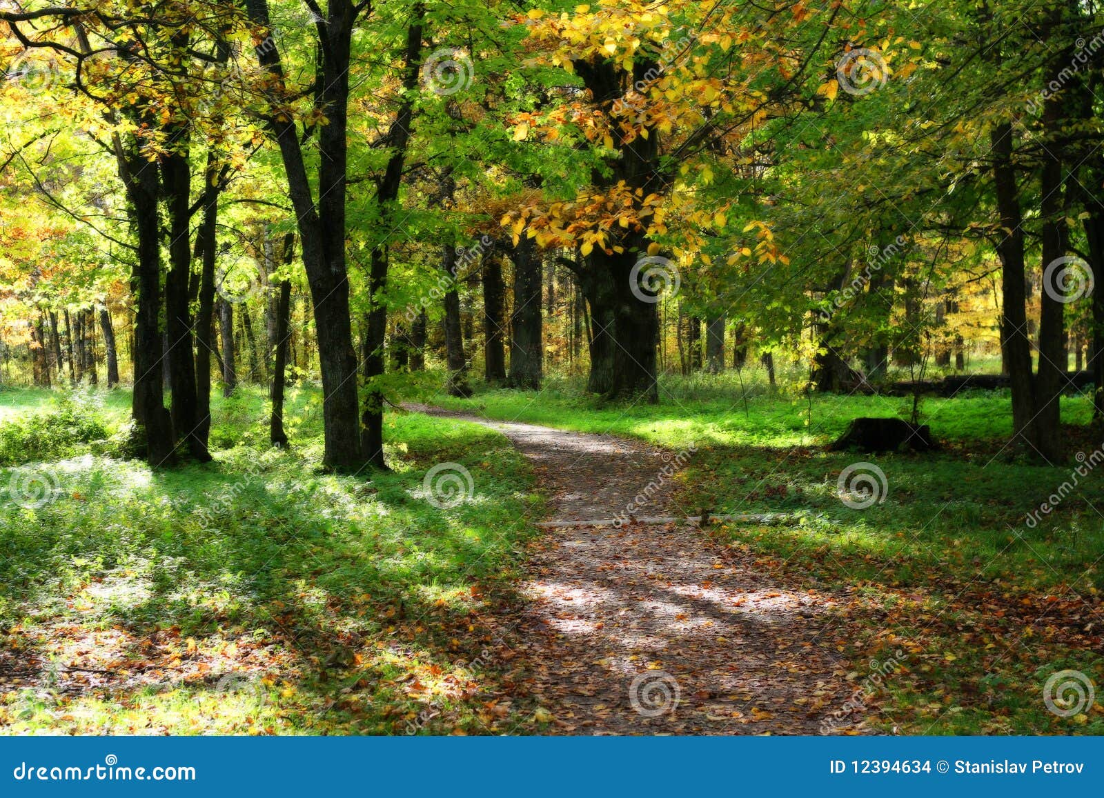 Beautiful park stock photo. Image of colors, forest, autumn - 12394634