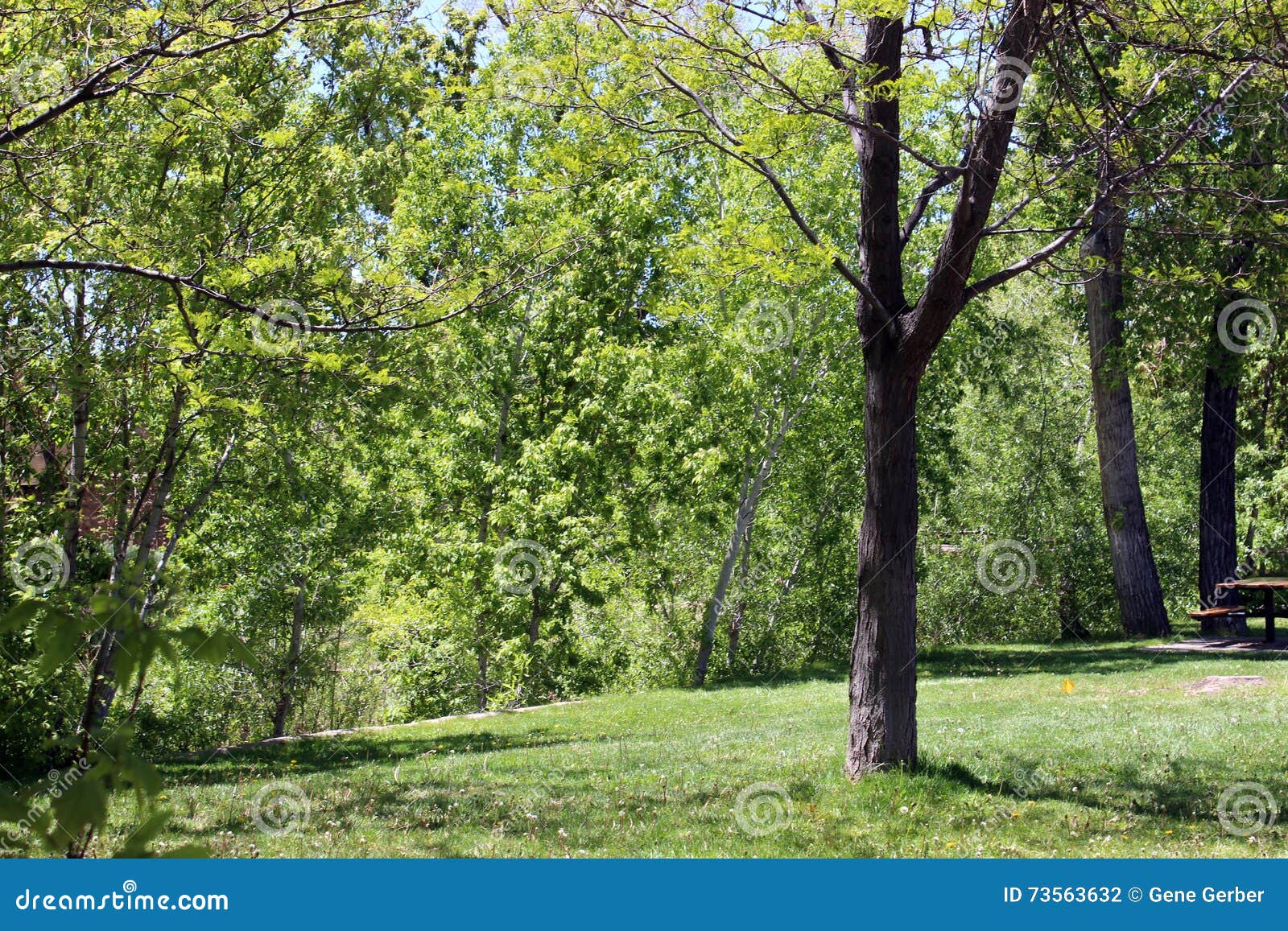 40,922 Park Along River Stock Photos - Free & Royalty-Free Stock Photos ...