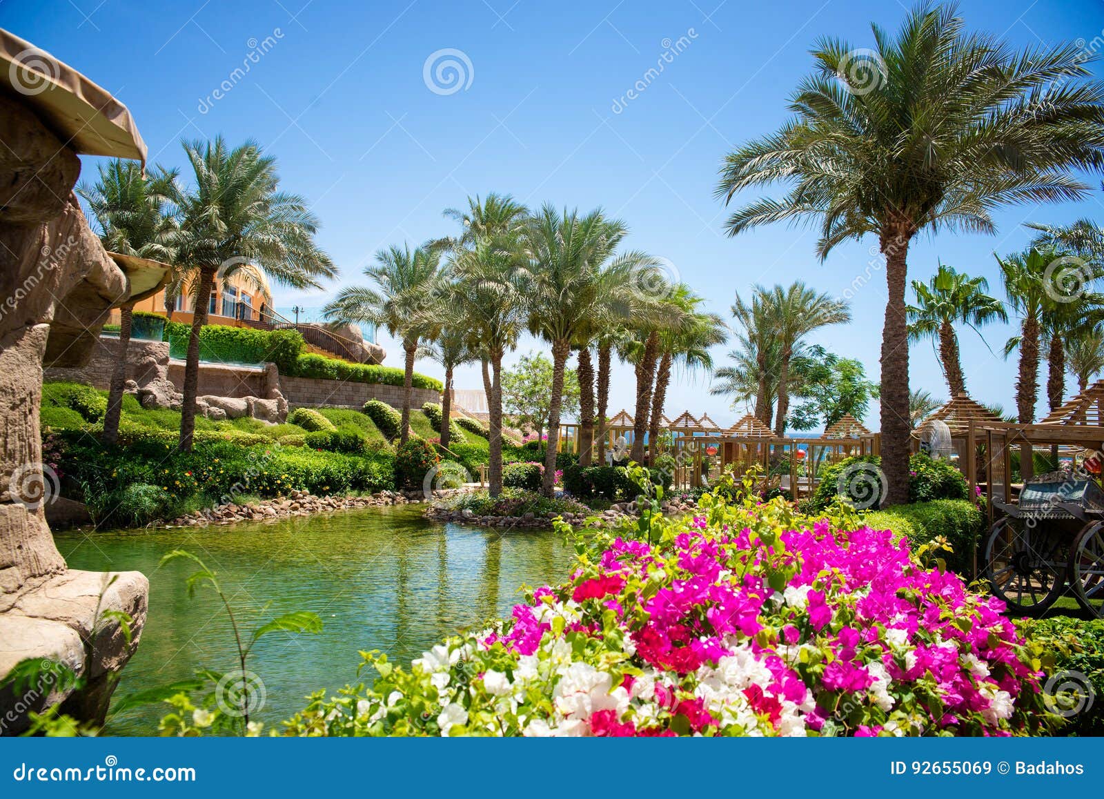 Beautiful Park with Flowers and Palm Trees Stock Image - Image of full ...