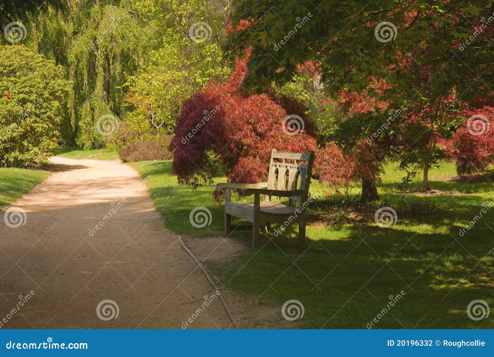 Beautiful Park Gardens Sunlit Bench Stock Photo - Image of seating ...
