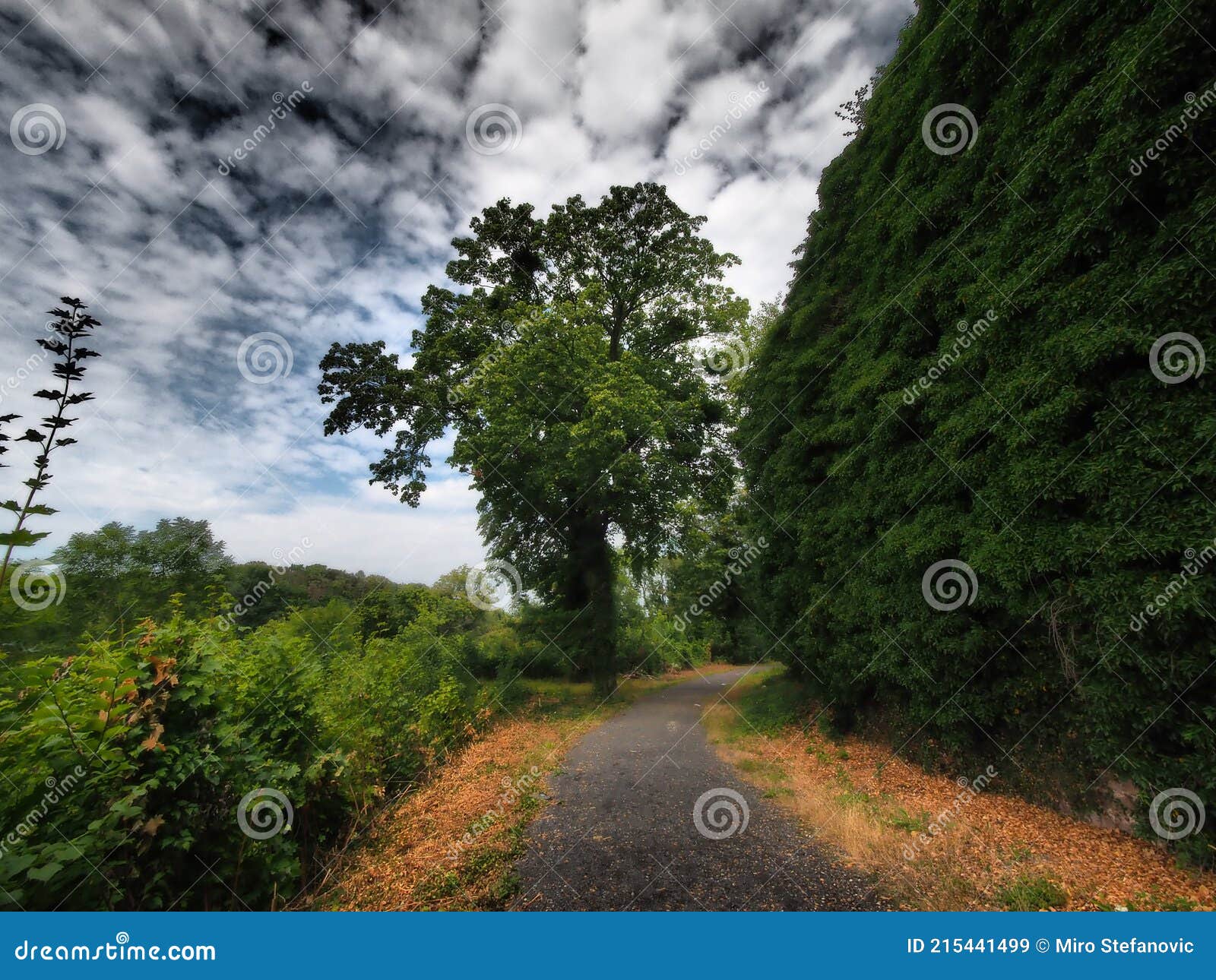 Beautiful Park with an Interesting Background Full of Greenery and ...