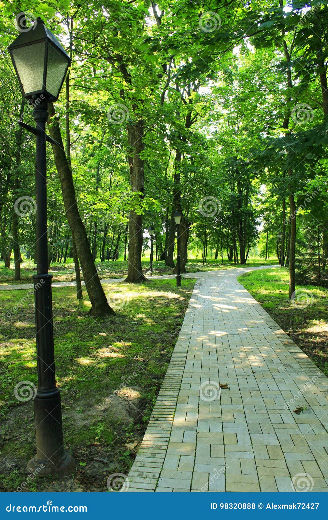 Beautiful Park with Many Green Trees and Path Stock Photo - Image of ...