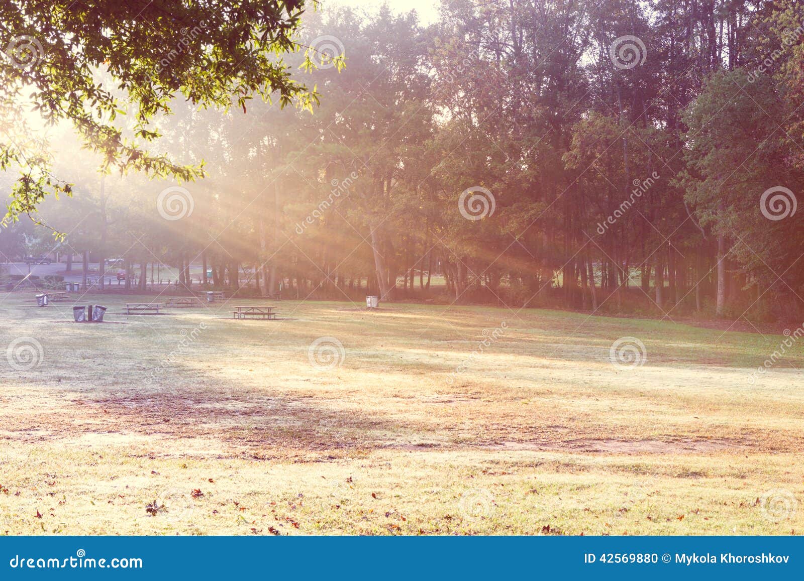 Beautiful Park Morning View Stock Photo - Image of garden, landscape ...