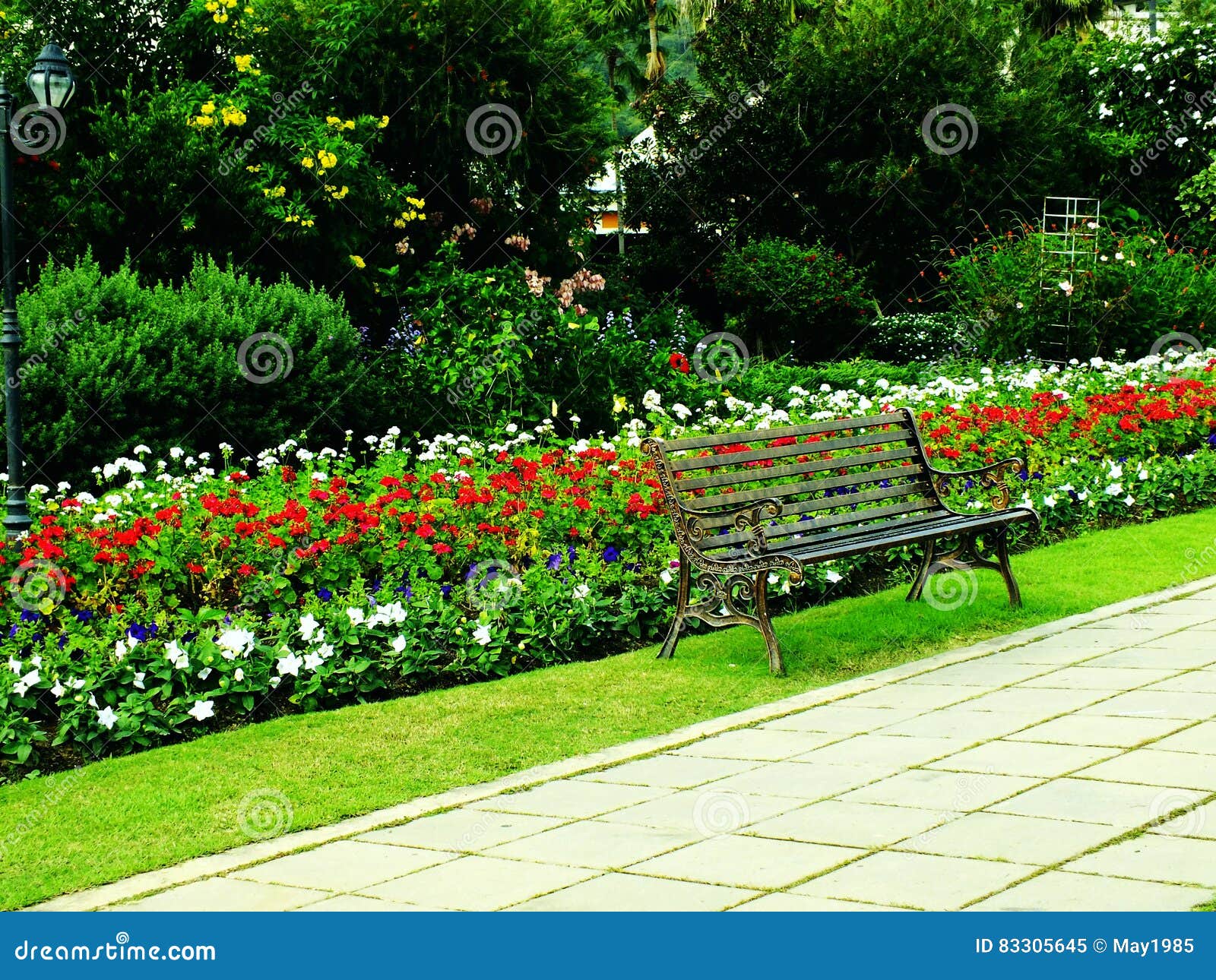 Beautiful Park with Pathway and Benches Stock Image - Image of grass ...