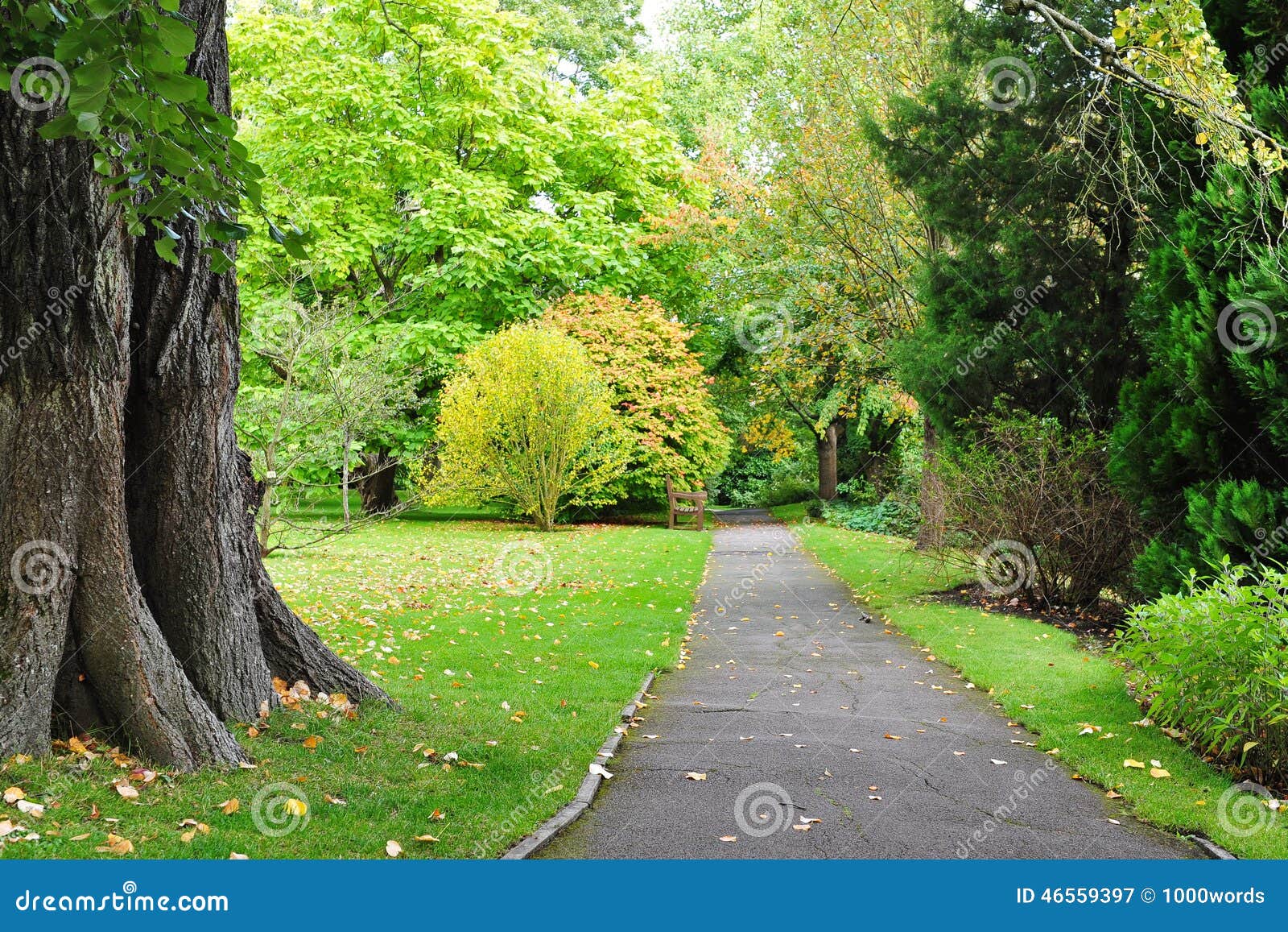 Beautiful Park Pathway stock image. Image of backdrops - 46559397