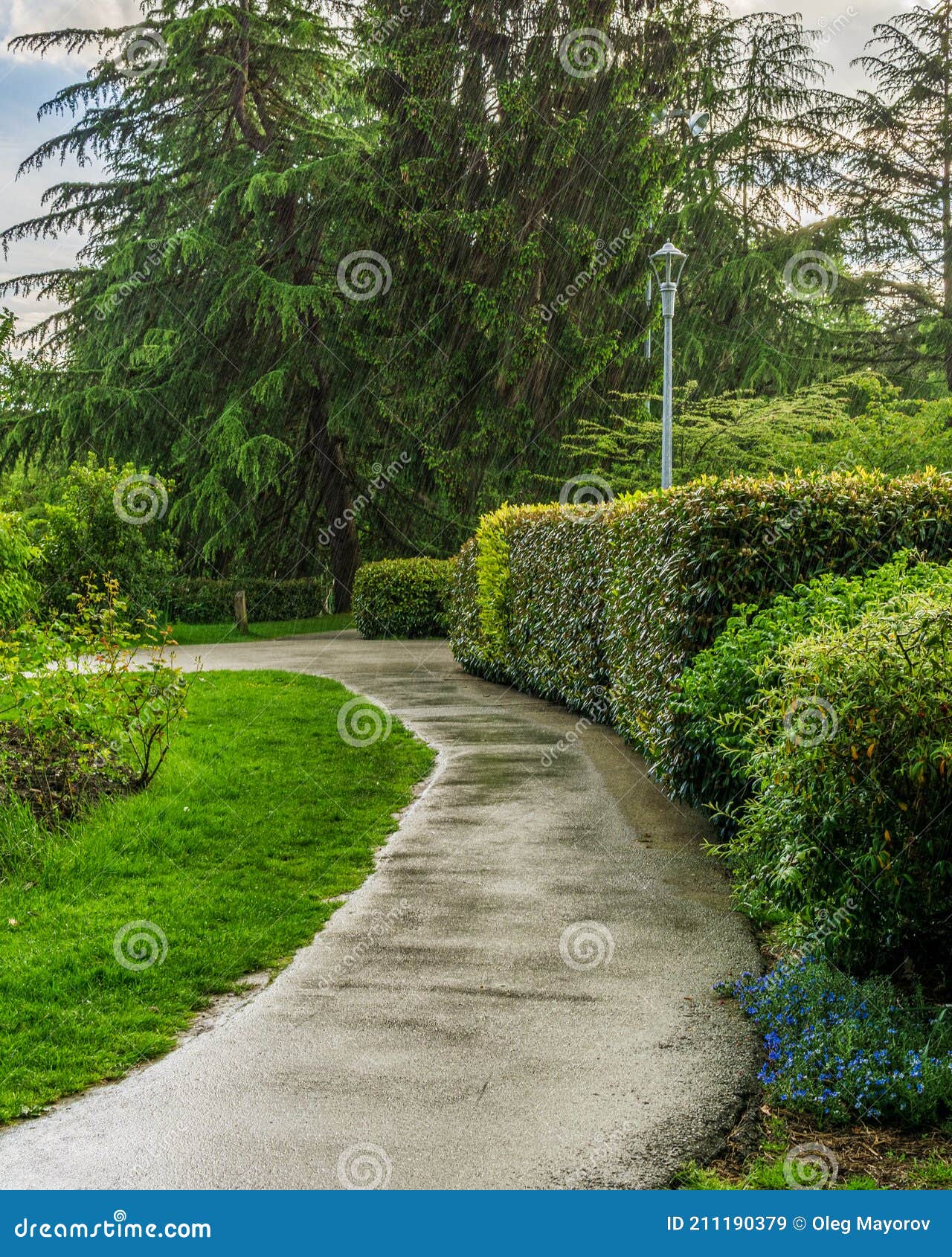 Pathway On Spring Flowers Meadow Royalty-Free Stock Photo ...