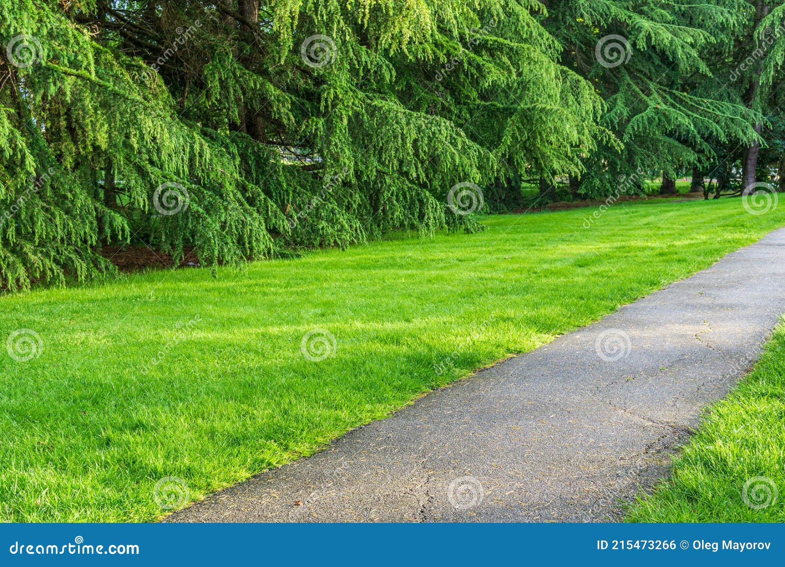 Beautiful Park with Pathway Spring Rainy Day Stock Photo - Image of ...