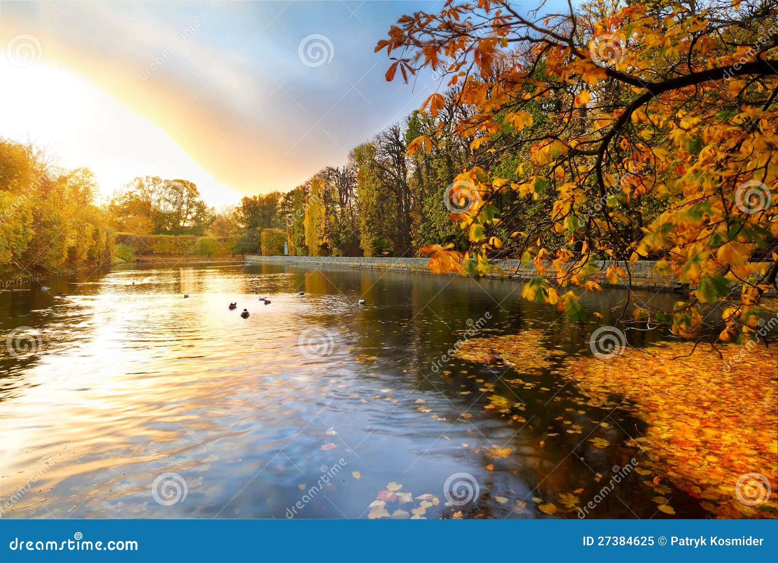 Beautiful Park Pond in Autumn at Sunset Stock Image - Image of morning ...